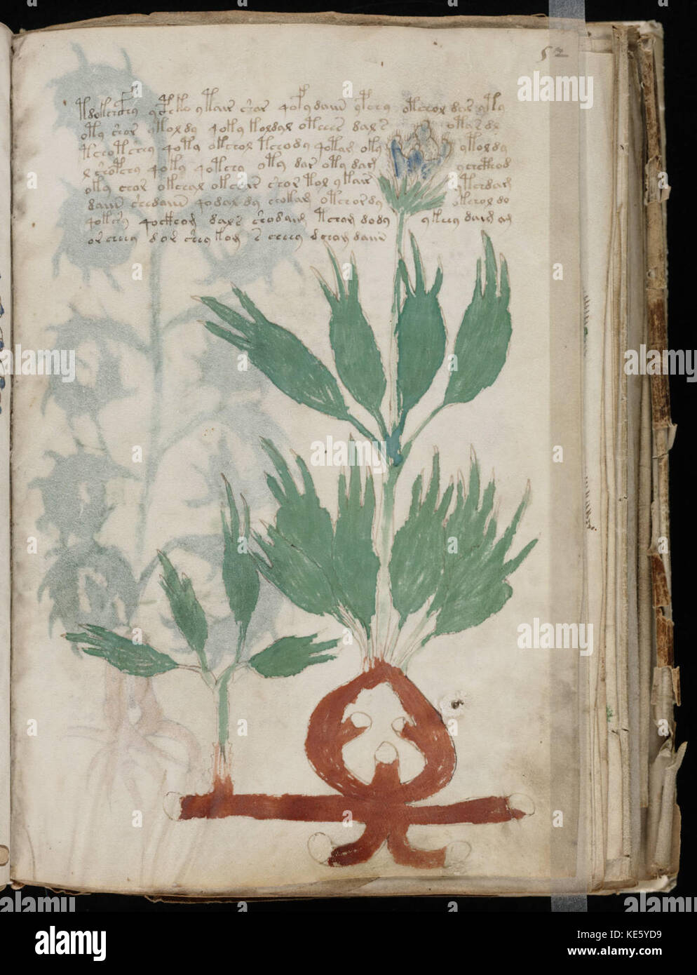 Manuscript scholars hi-res stock photography and images - Alamy