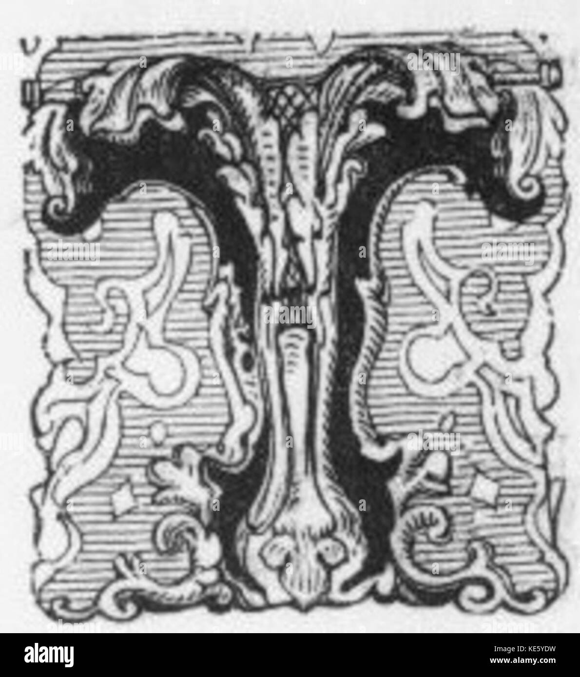 Vintage Drop Cap T Stock Photo - Alamy