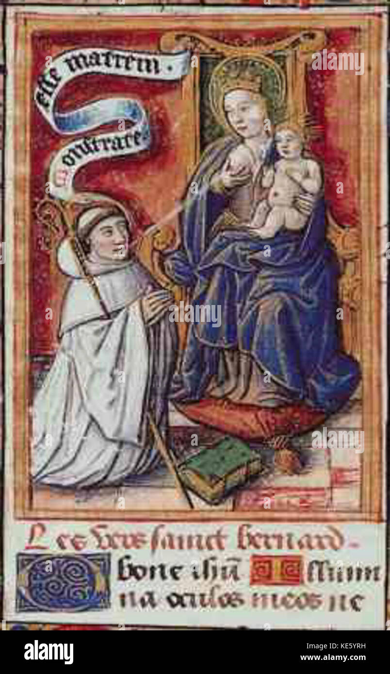 Lactatio hi-res stock photography and images - Alamy