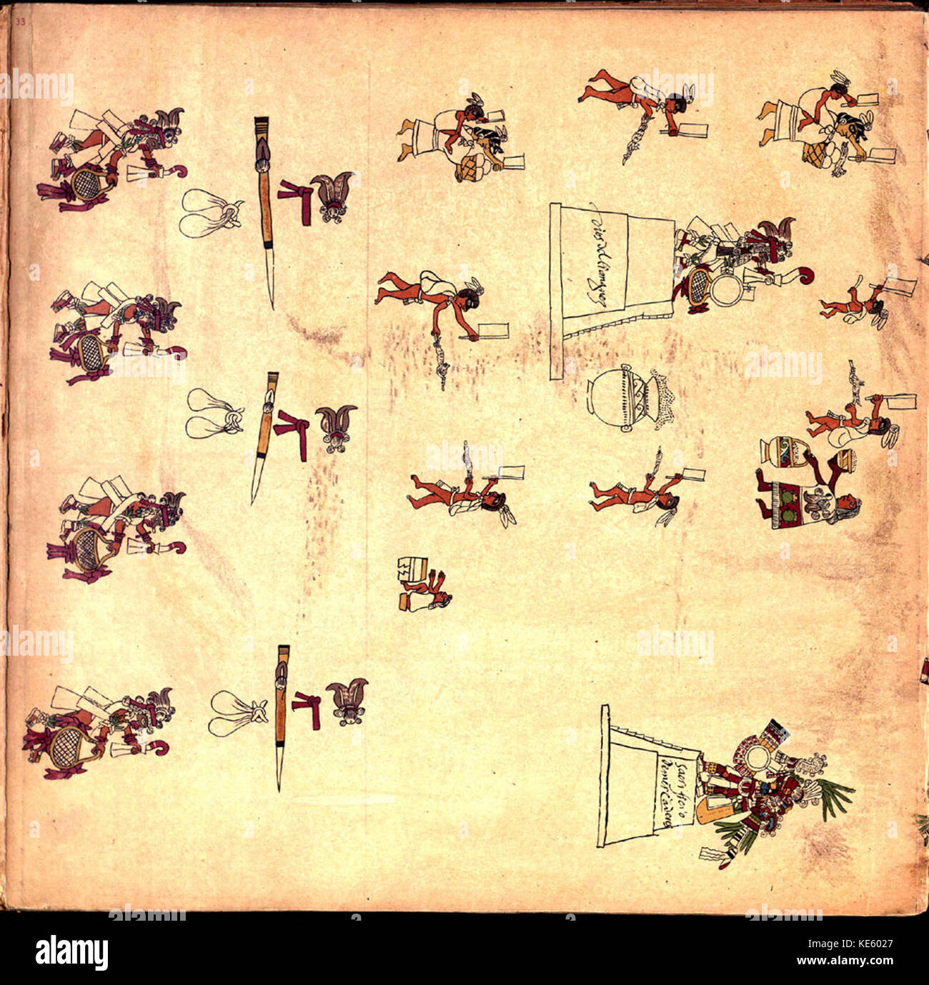 Borbonicus hi-res stock photography and images - Alamy