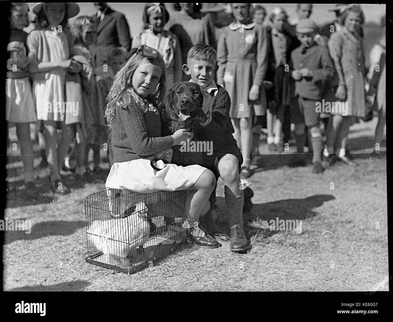 The Eastwood Pet Parade is a community event where residents showcase ...