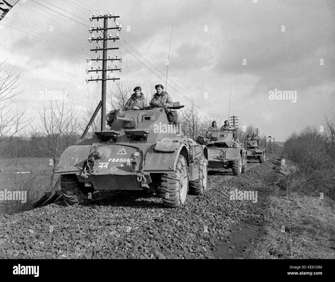T17e1 staghound hochwald trio Stock Photo - Alamy