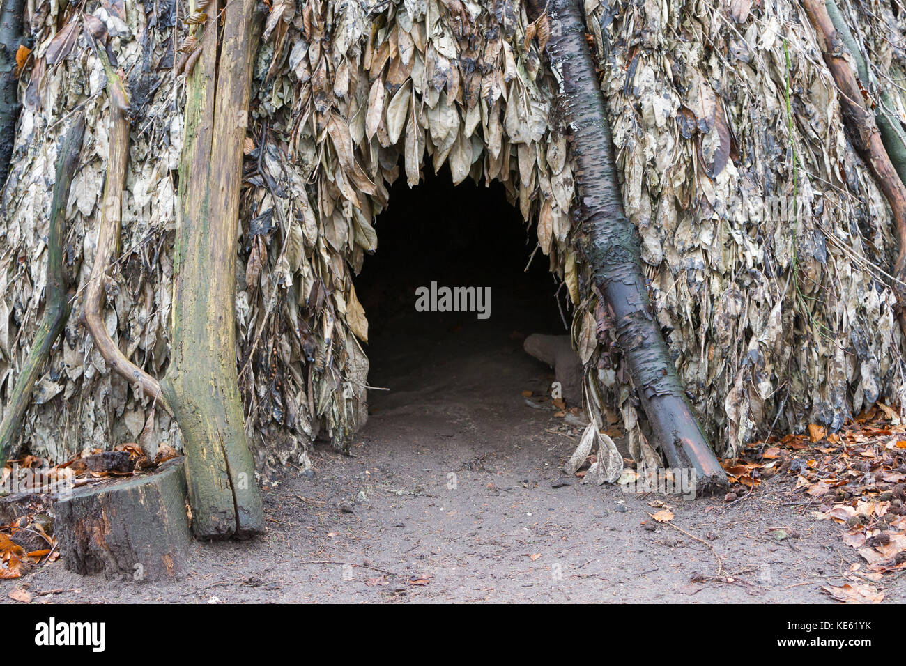 Traditional rural African hut - Made out of leaves and wood Stock Photo ...