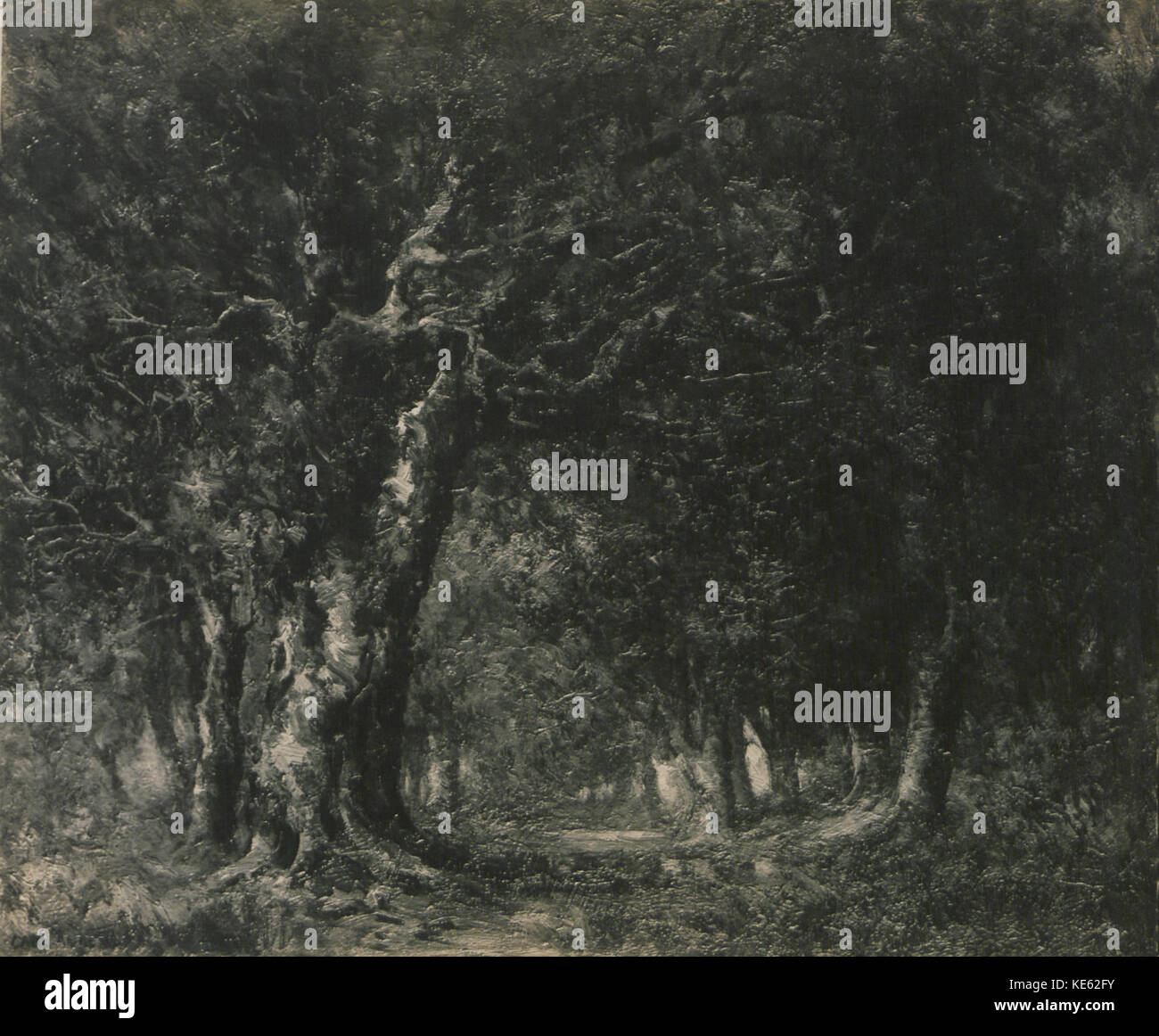 An image or artwork titled 'The woods' with catalog reference HS85 10 ...