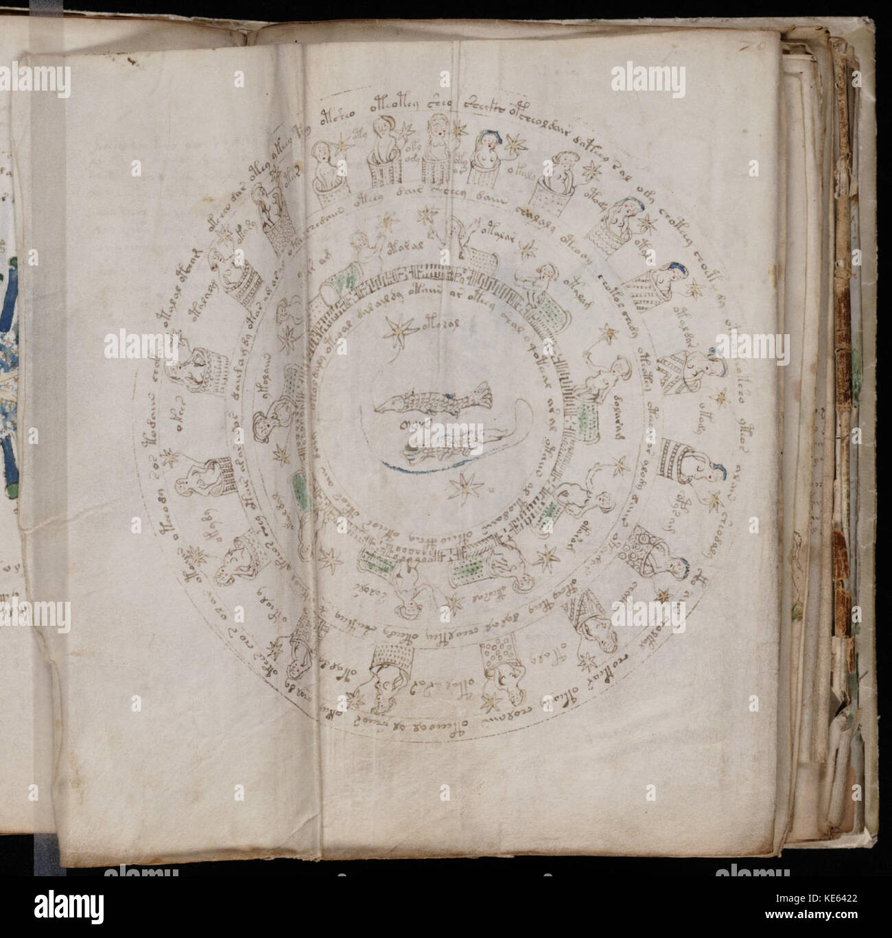 Voynich code hi-res stock photography and images - Alamy