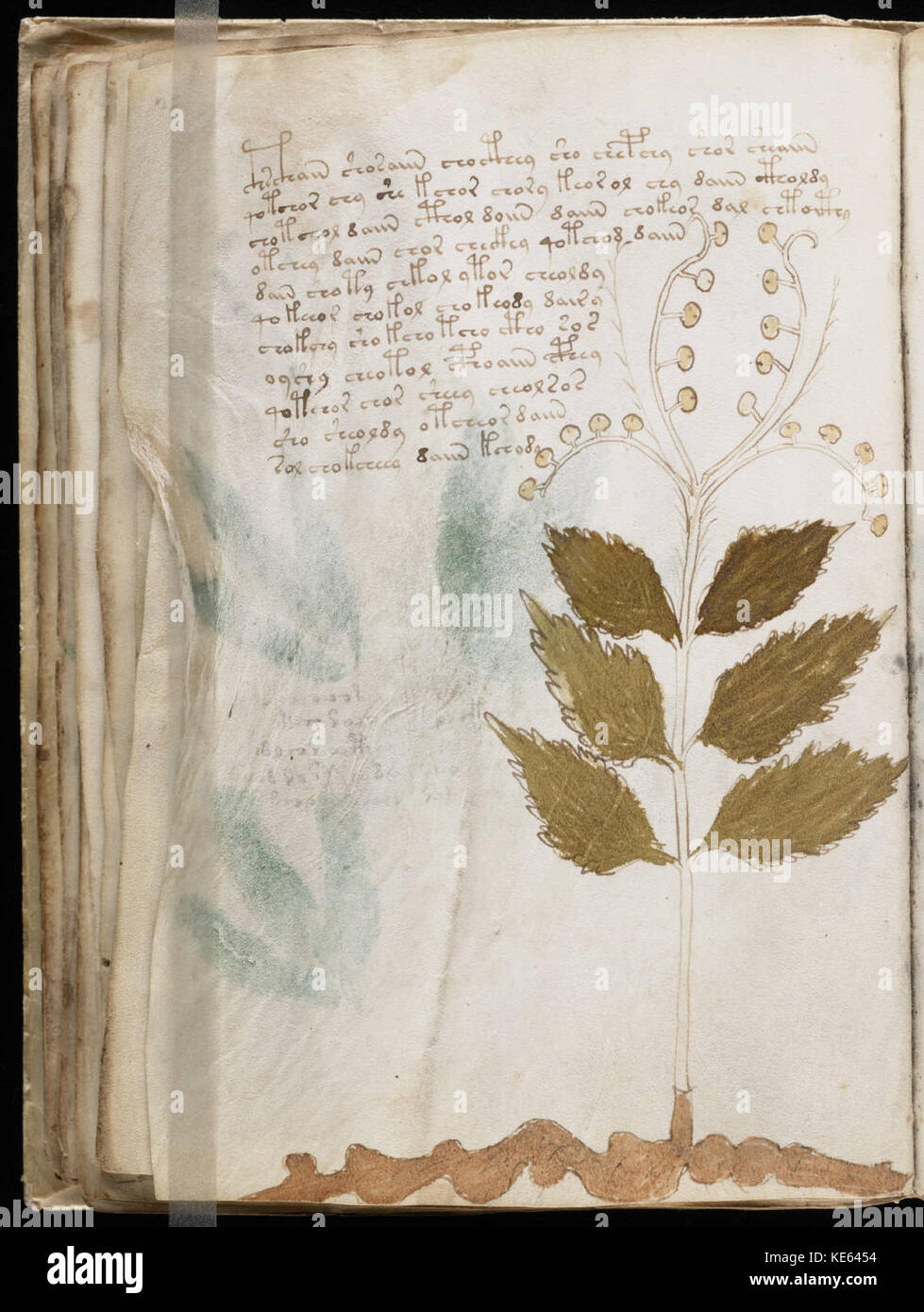 The Voynich Manuscript is a mysterious, handwritten book containing ...