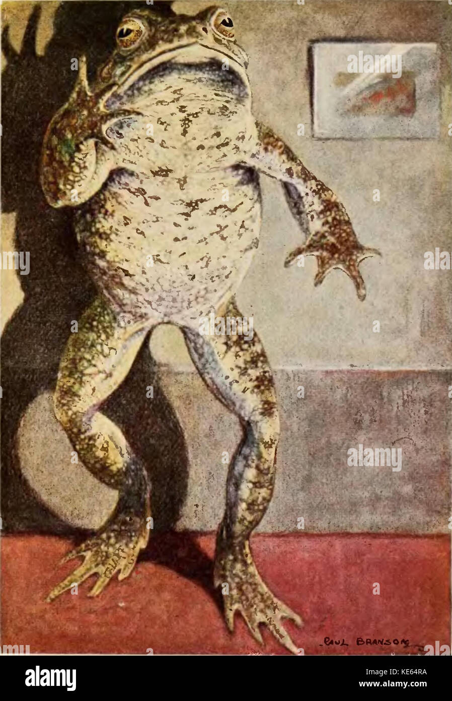 Wind in the Willows Paul Bransom Mr Toad standing Stock Photo - Alamy