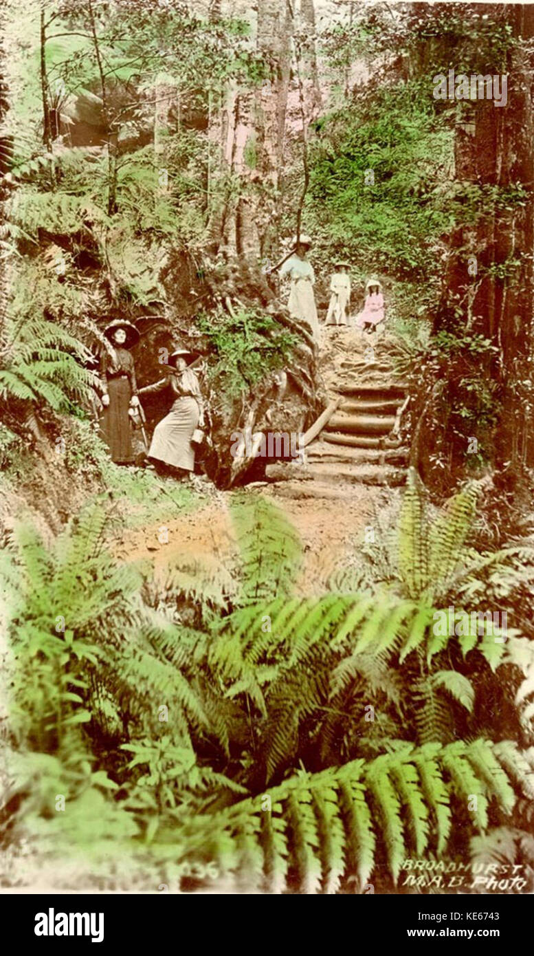 796434 Ladies in bush scene Stock Photo - Alamy