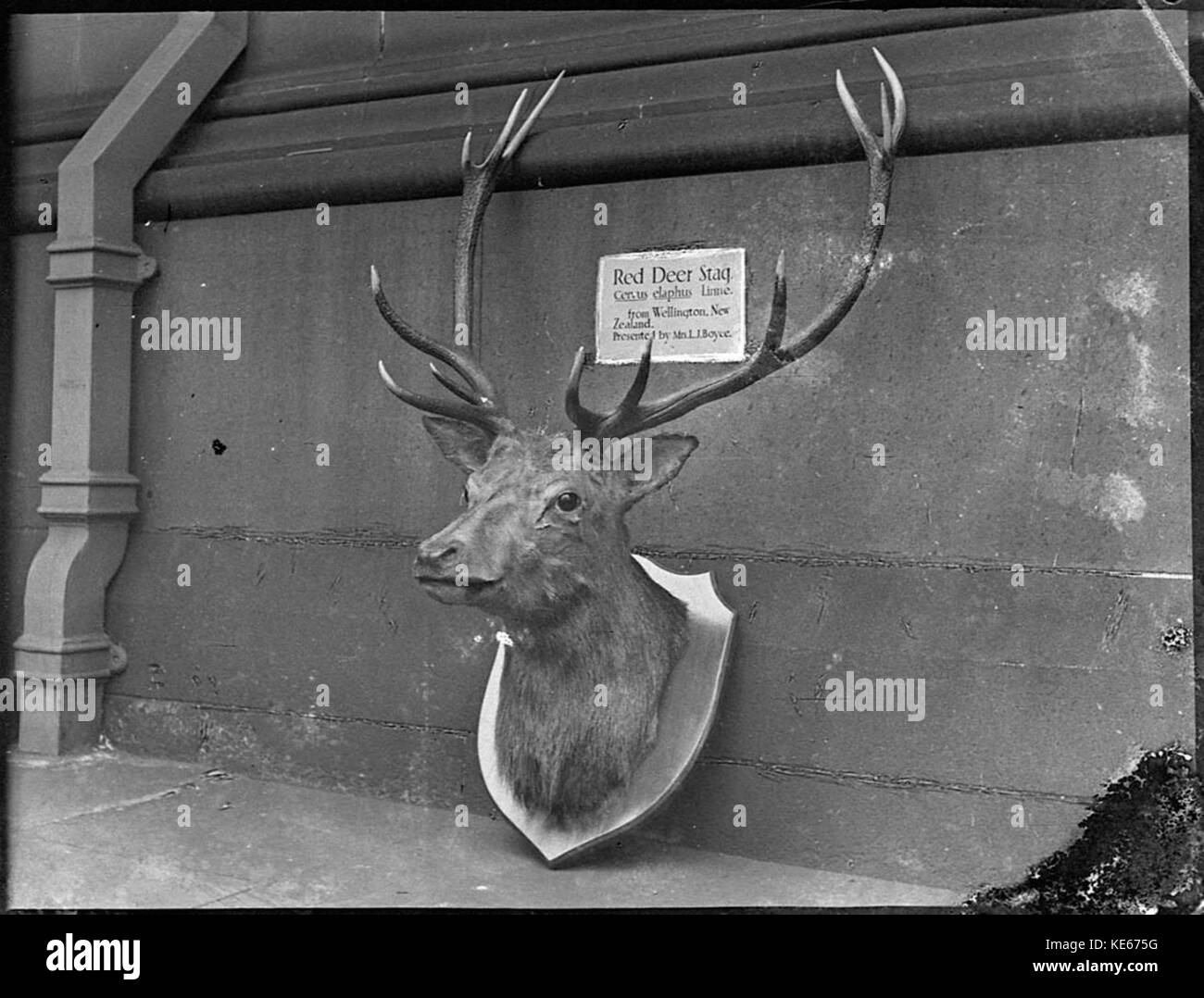 Bathurst head Black and White Stock Photos & Images - Alamy