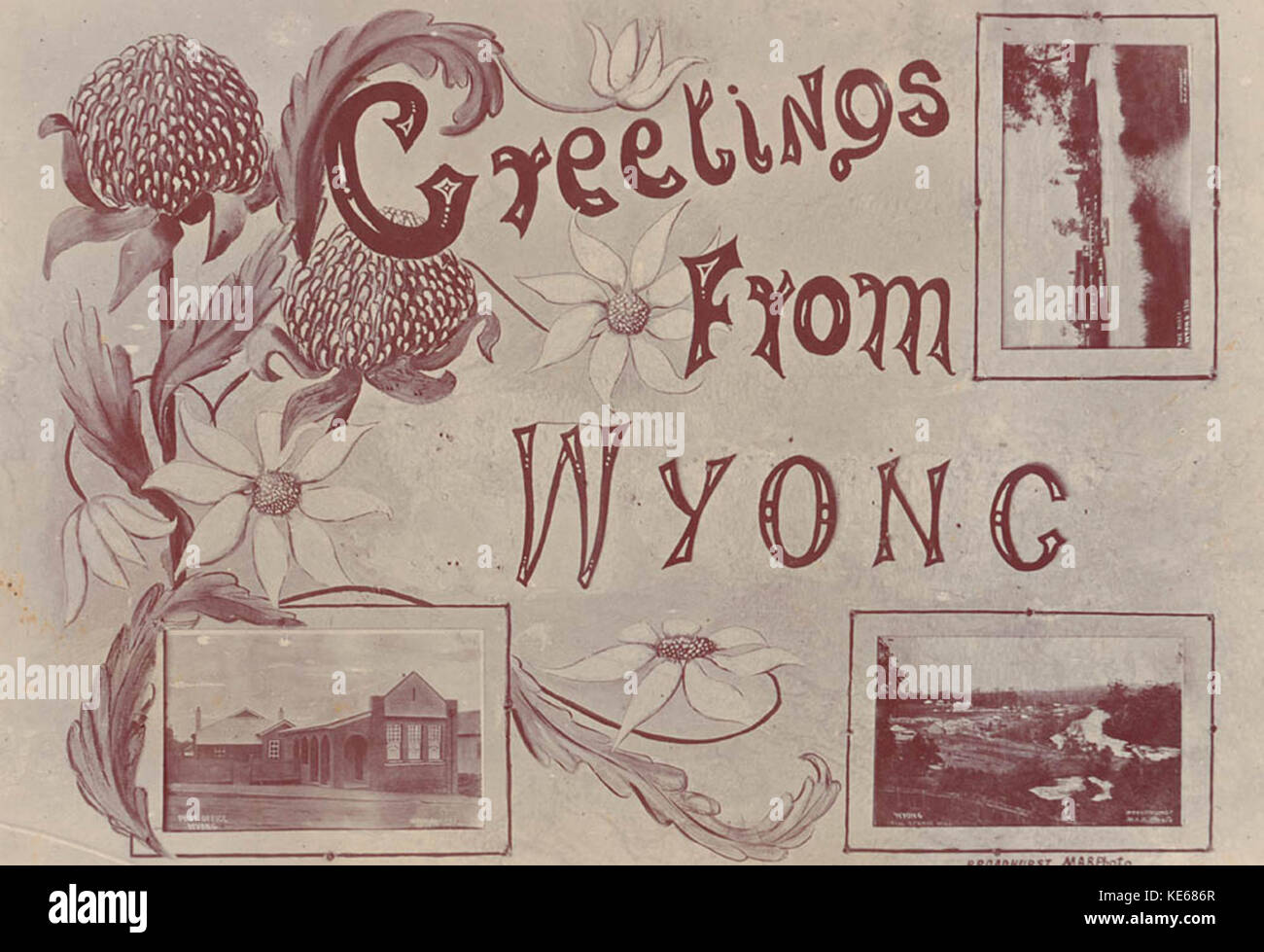 Wyong hi-res stock photography and images - Alamy