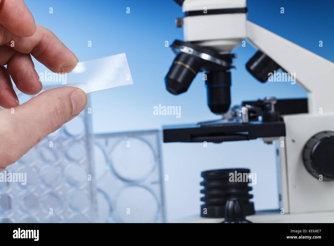 Microscope Subject Table and Biological Samples. Microscope is the main ...