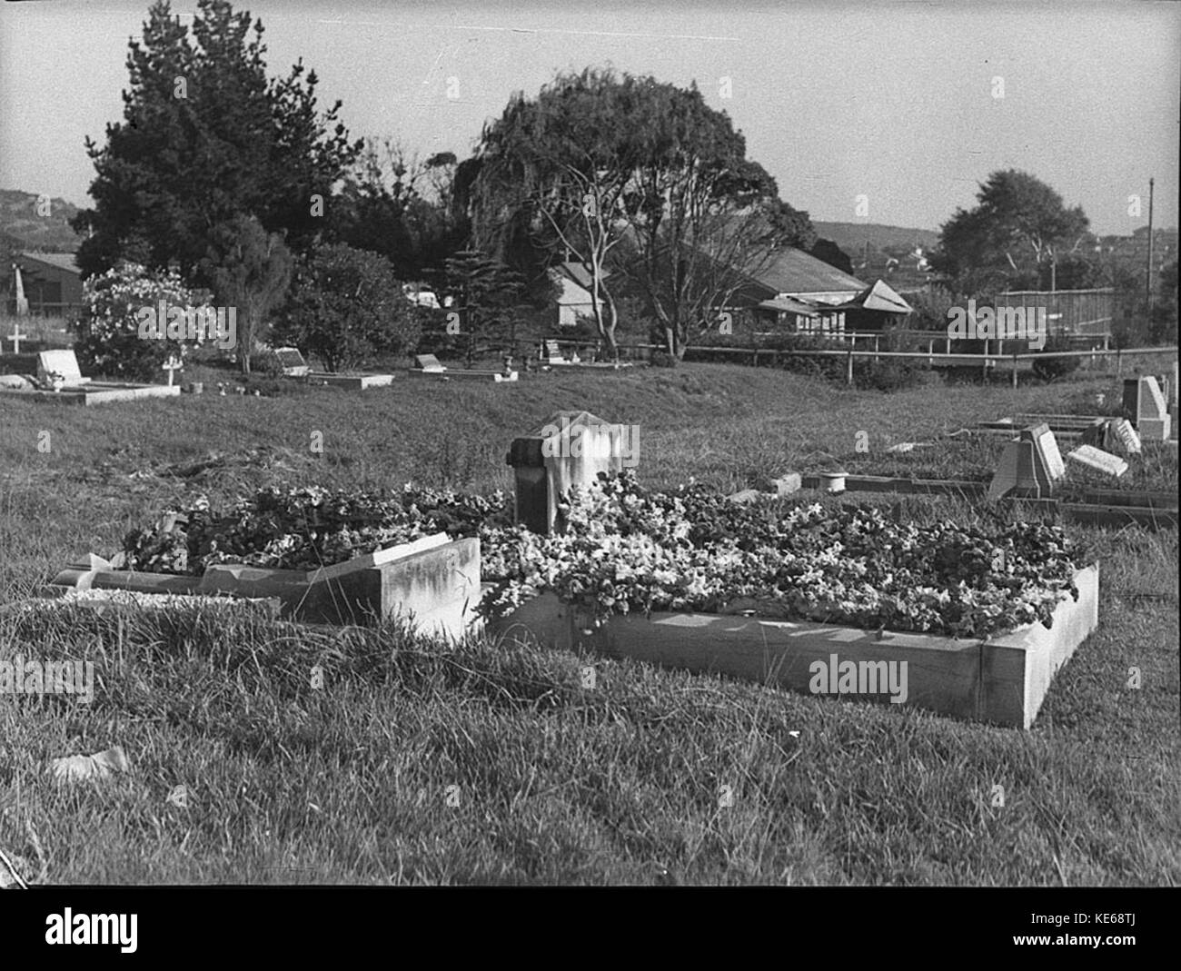 29412 Grave of late Mr George Walker Manly cemetery Stock Photo - Alamy