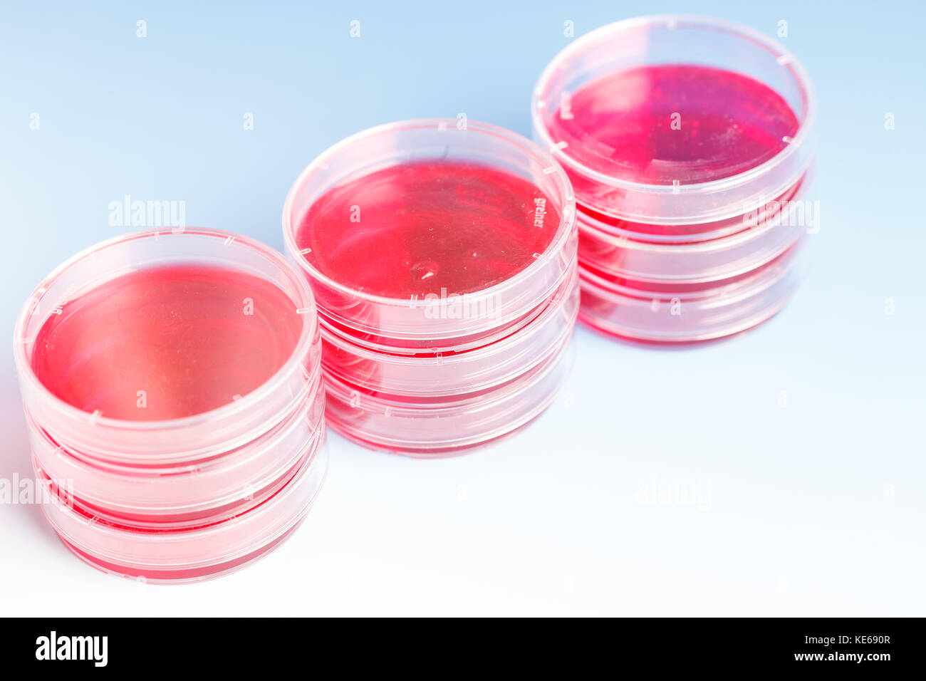 Blood for testing in laboratory. general blood test Stock Photo - Alamy