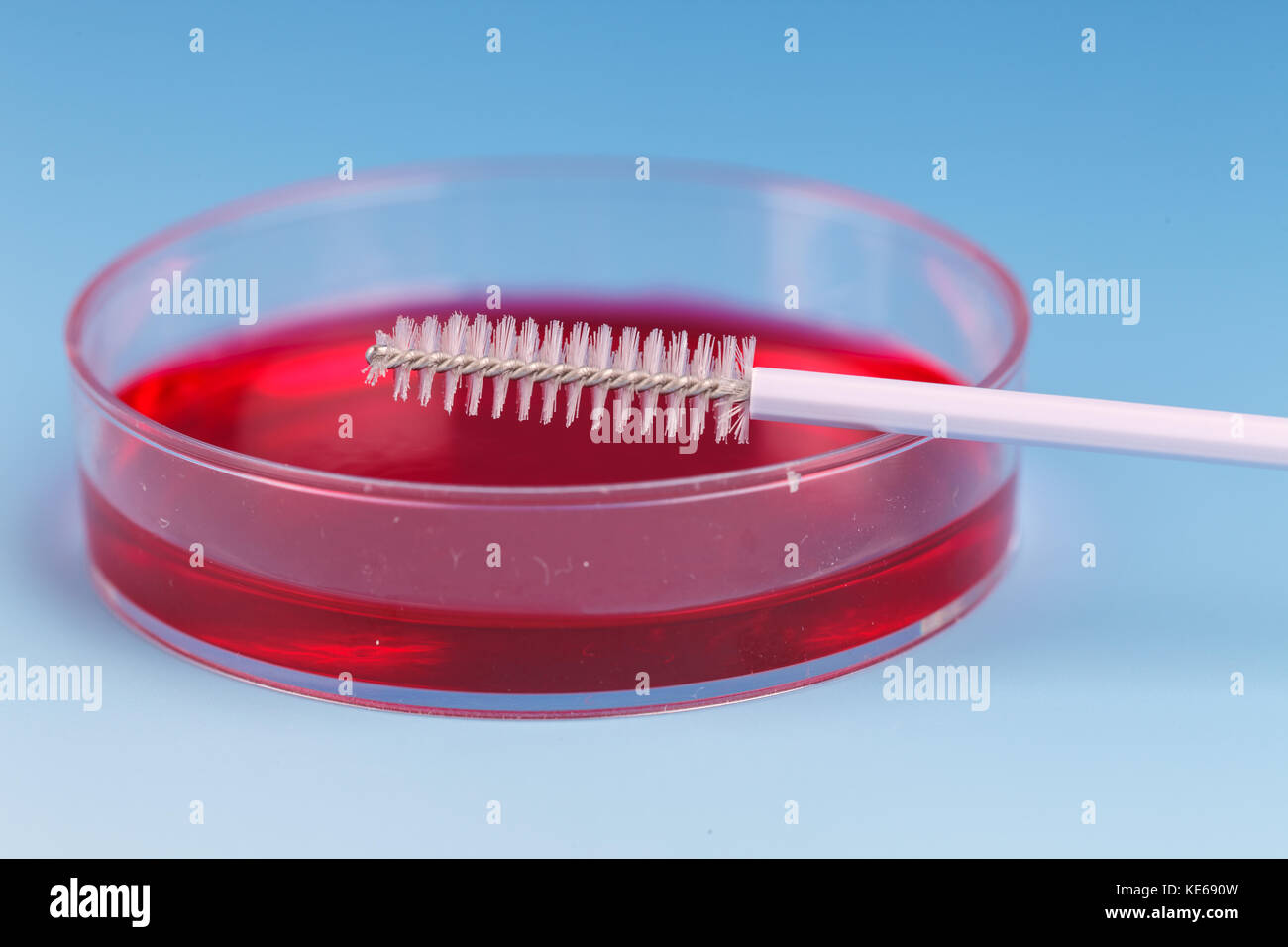 Blood for testing in laboratory. general blood test Stock Photo - Alamy