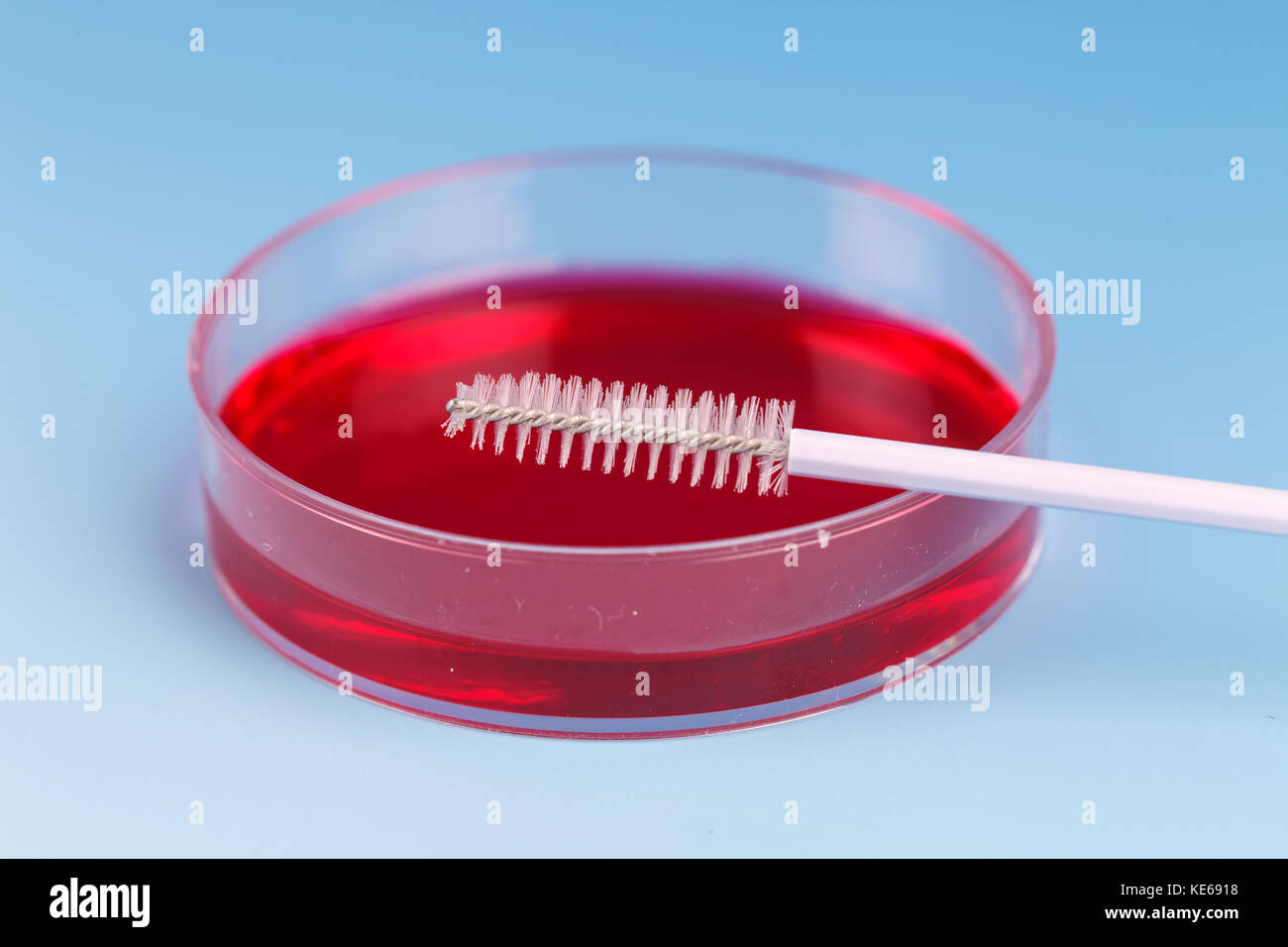 General blood analysis hi-res stock photography and images - Alamy