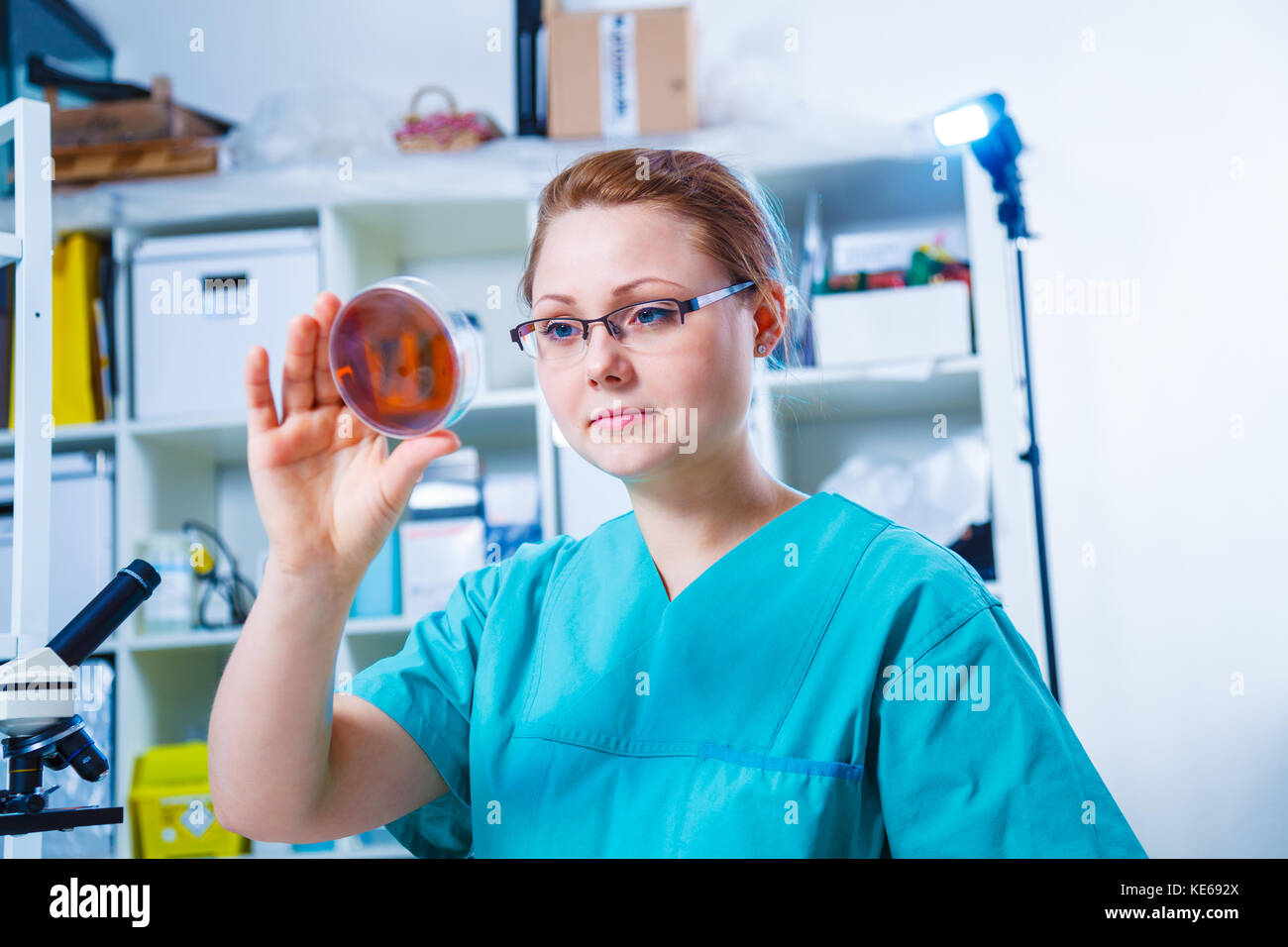 Nurse doing medical analysis Stock Photo - Alamy