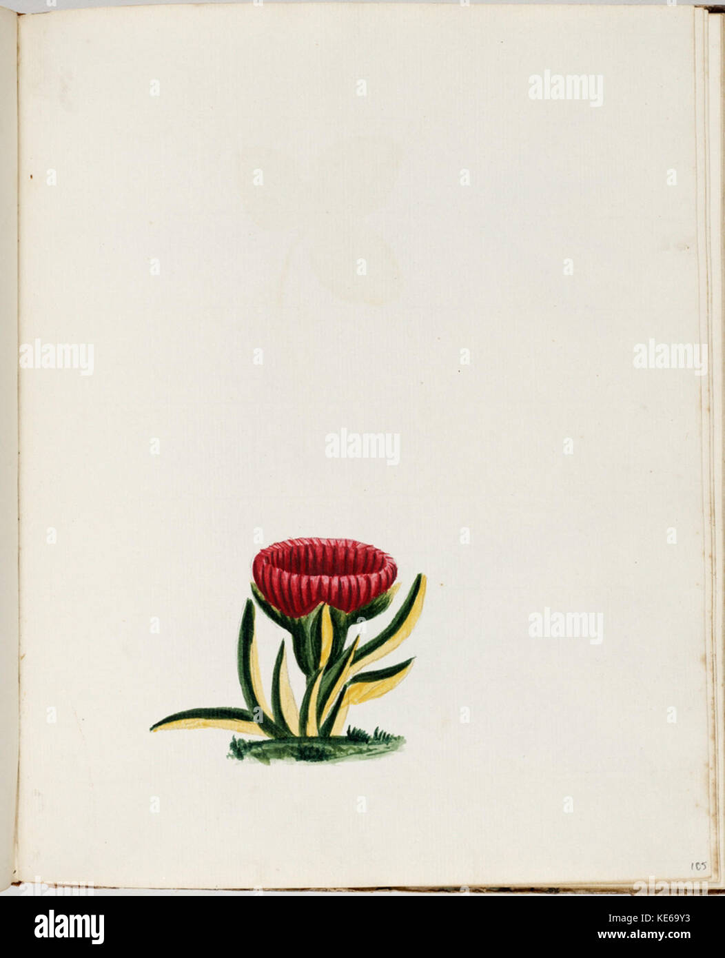 This untitled figure, likely depicting a Hottentot individual, offers ...