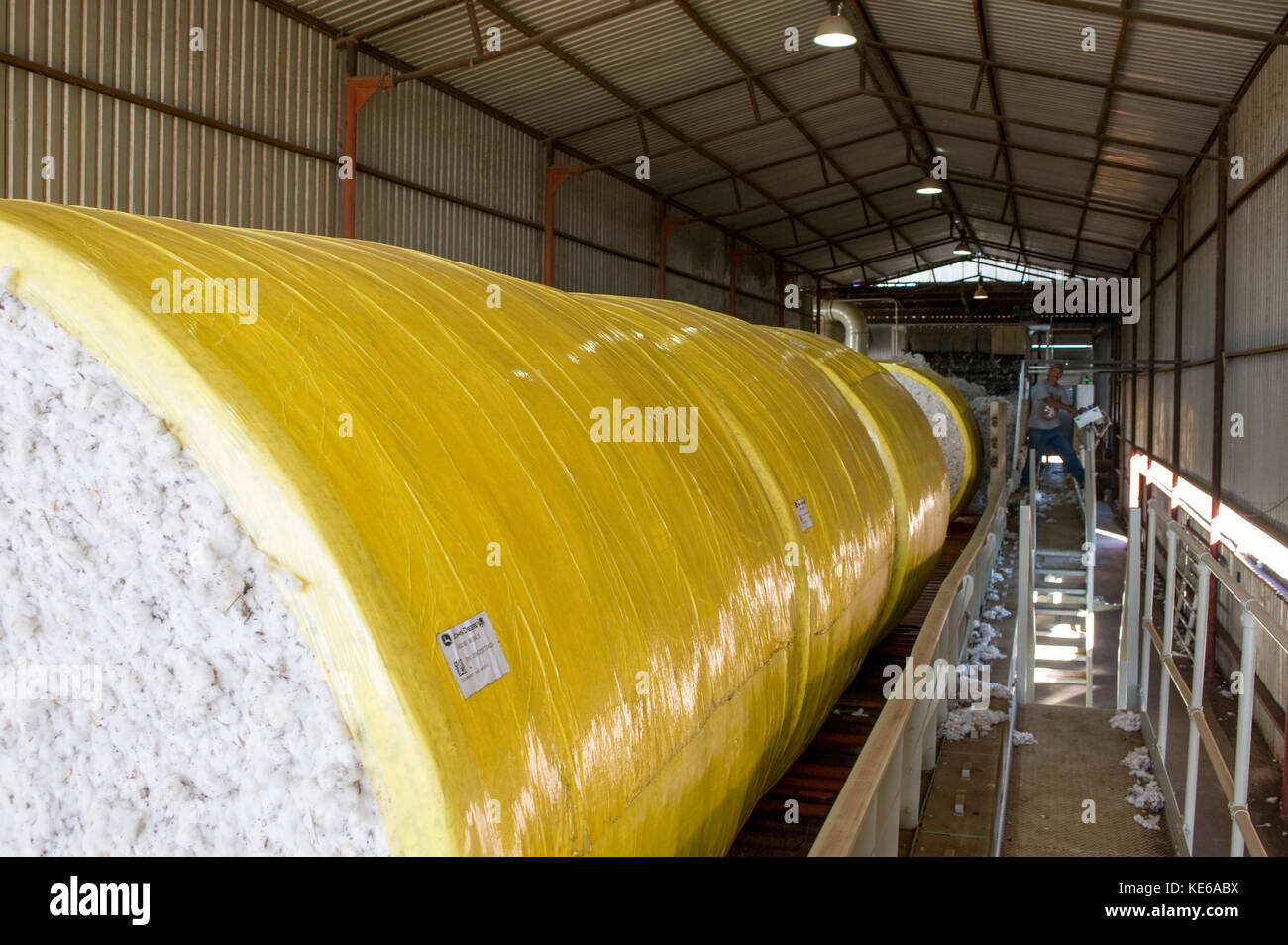 Cotton module hi-res stock photography and images - Alamy