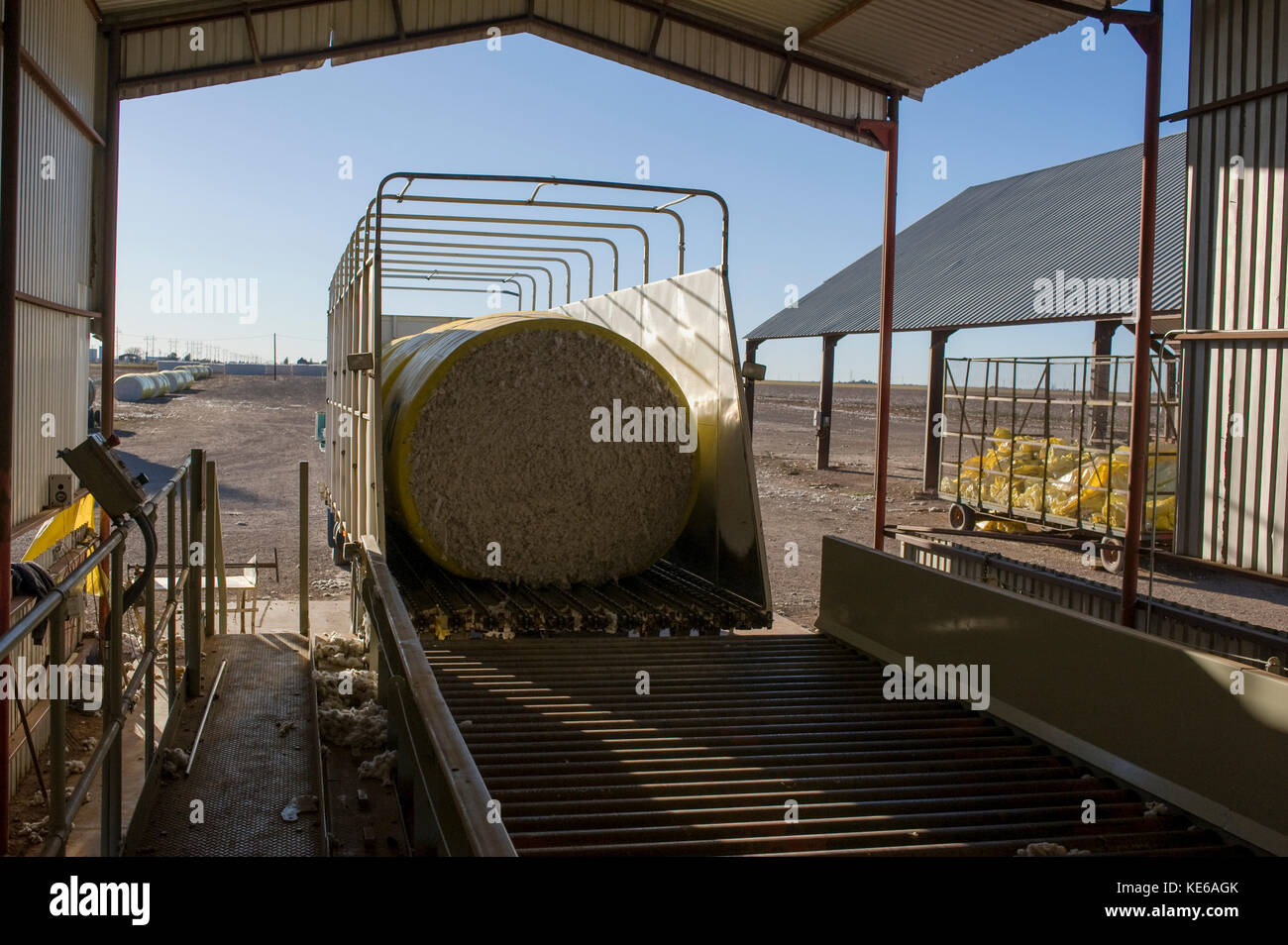 Cotton Modules High Resolution Stock Photography and Images - Alamy