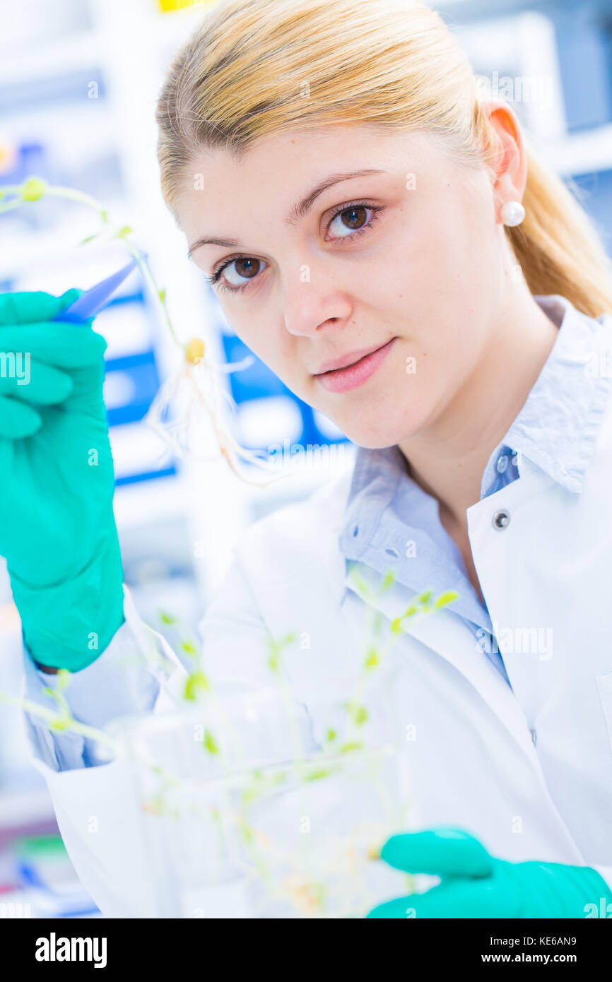Experiment with genetically modified plants. Young woman laboratory ...