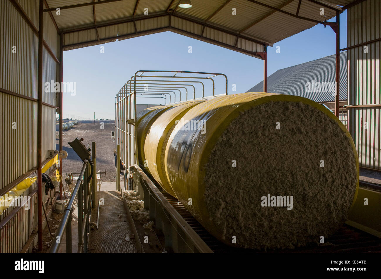 ROUND BALES OR MODULES GOING IN TO THE COTTON GIN Stock Photo - Alamy