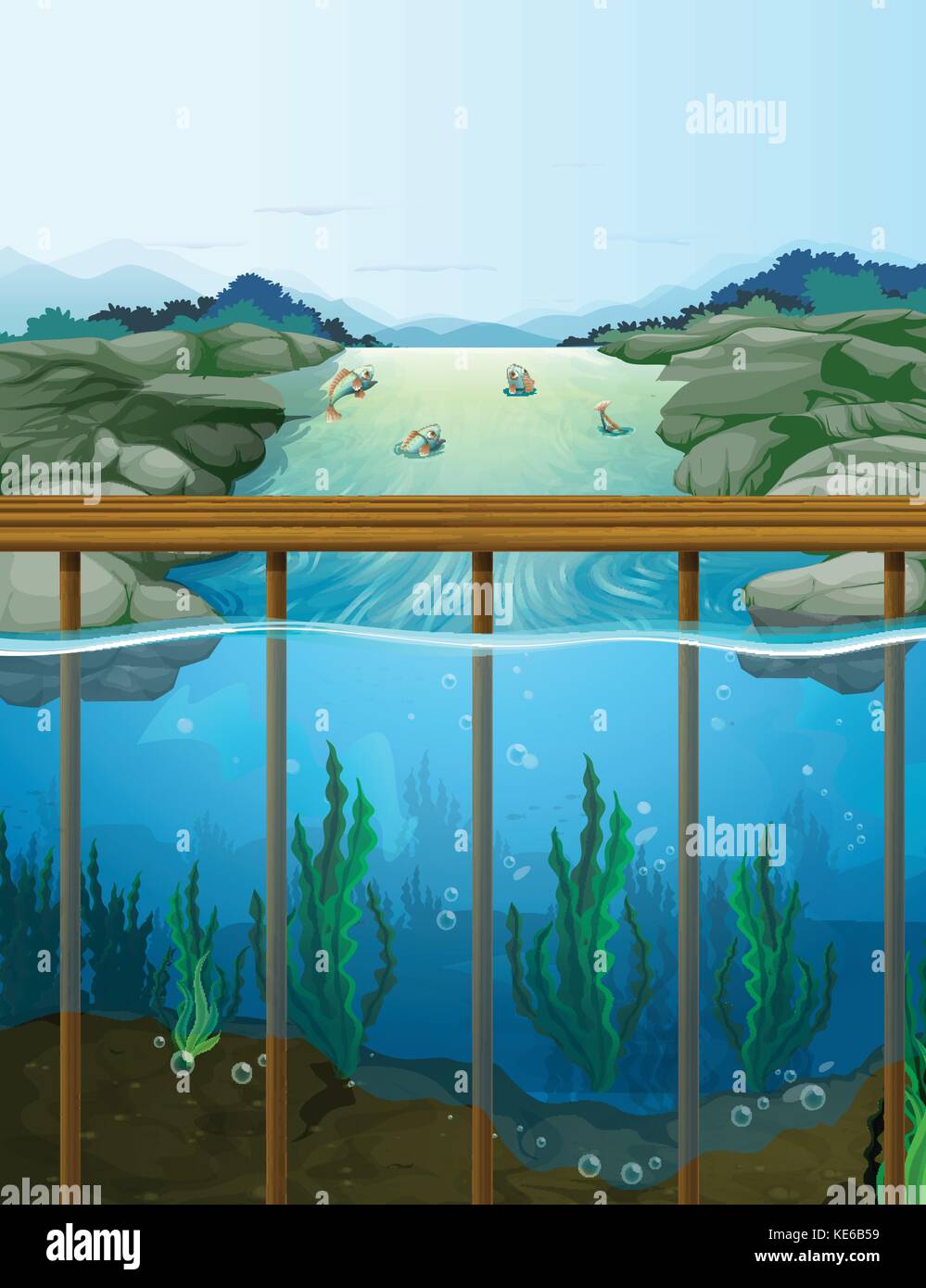 Nature scene with fish in the river illustration Stock Vector Image ...