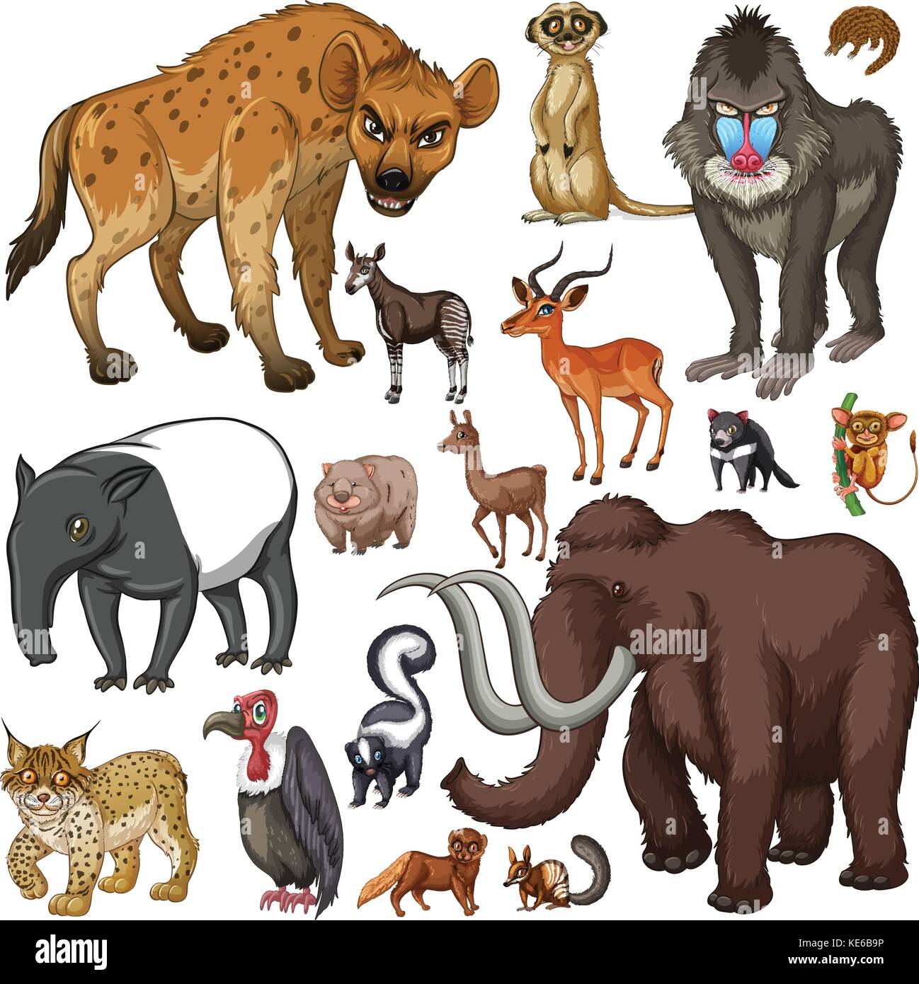 Different kind of wild animals illustration Stock Vector Image & Art ...