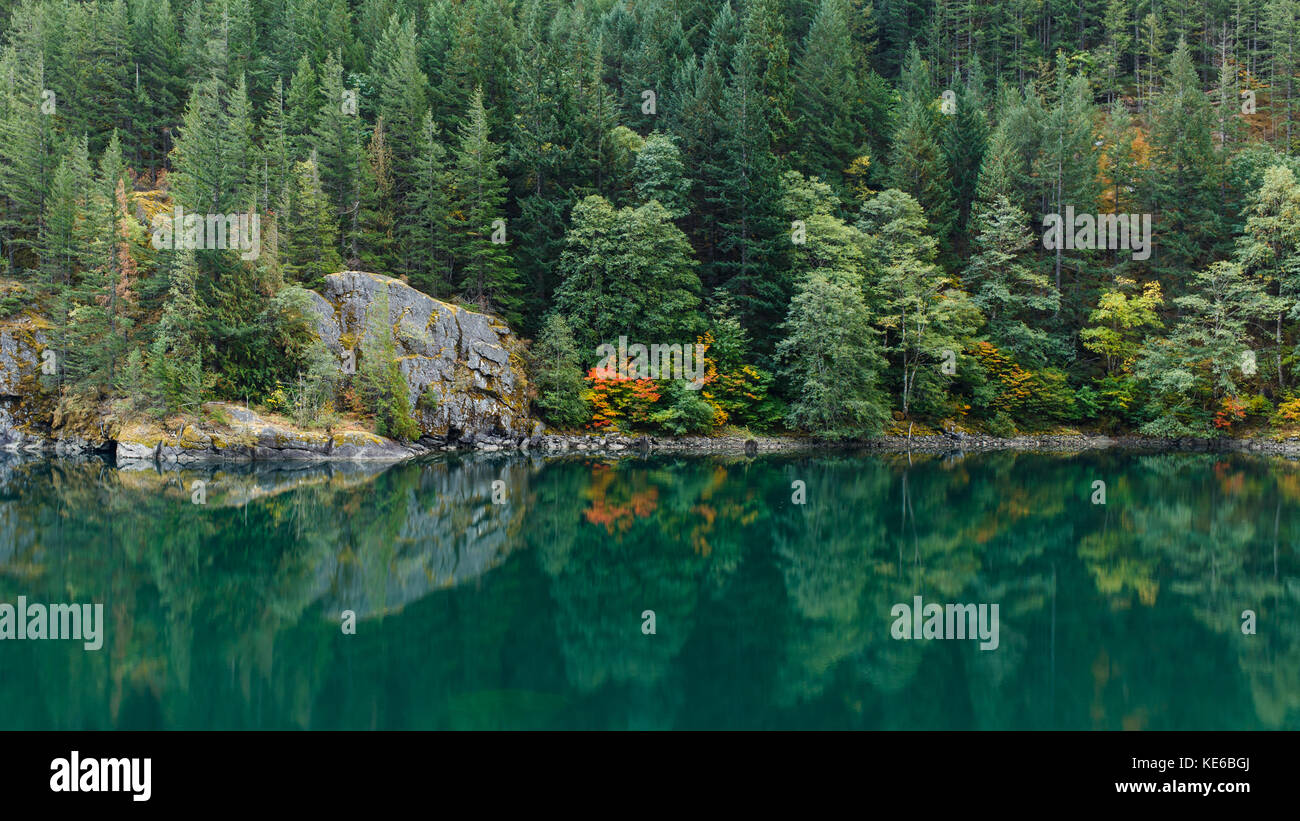 Green colored lake water with reflection of evergreen trees, autumn ...