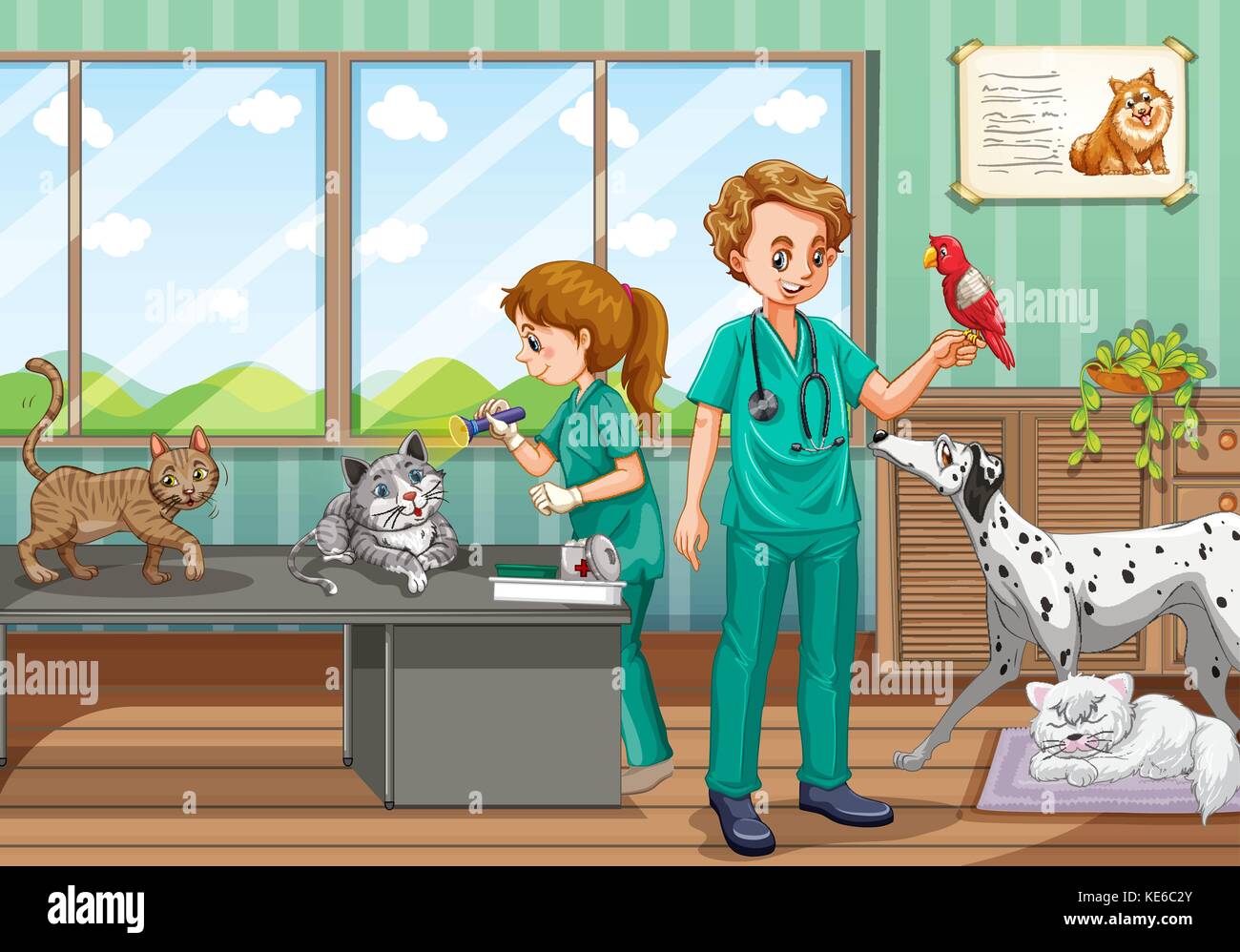 Two vets healing many pet in the clinic illustration Stock Vector Image ...