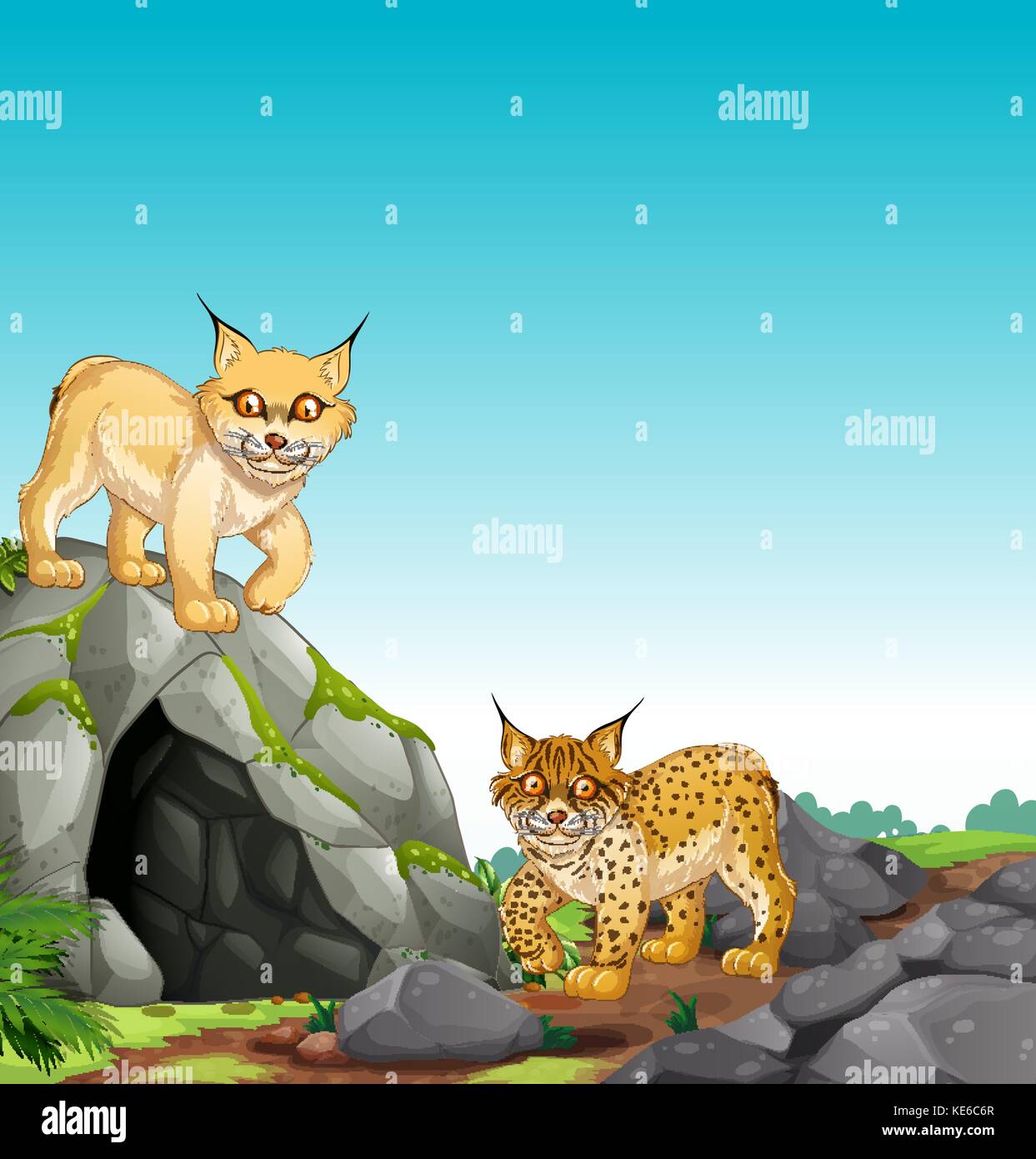 Two tigers living in the cave illustration Stock Vector Image & Art - Alamy