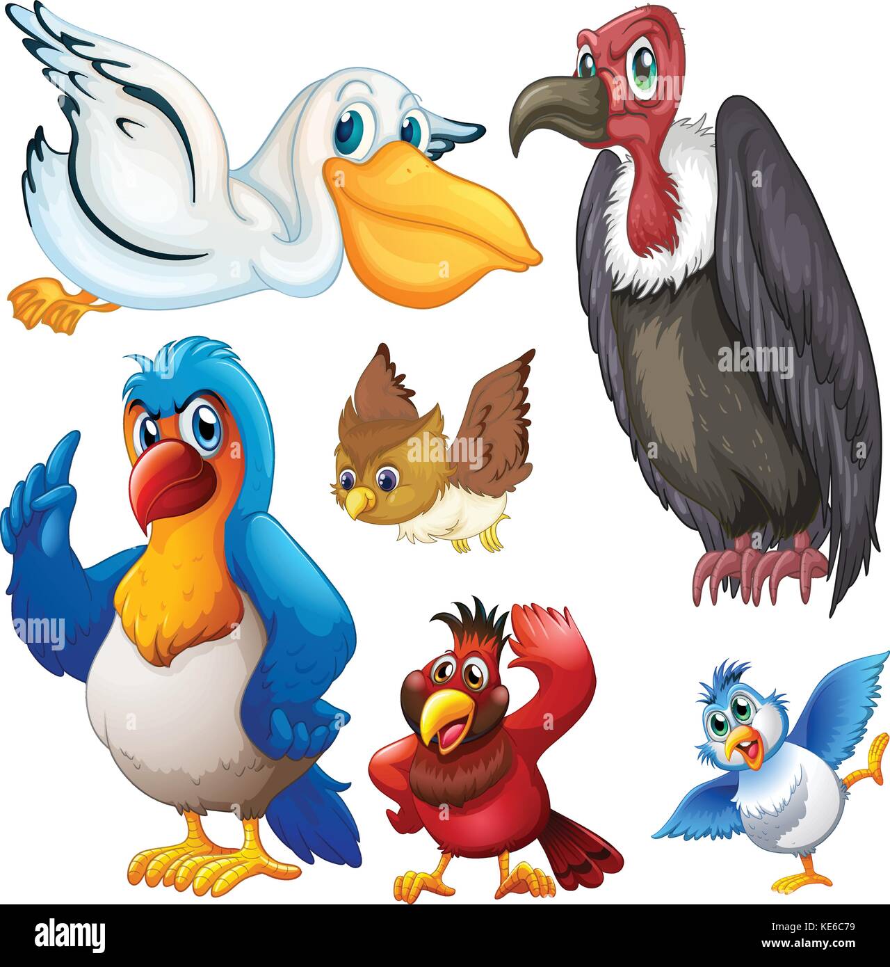 Different kind of birds illustration Stock Vector Image & Art - Alamy
