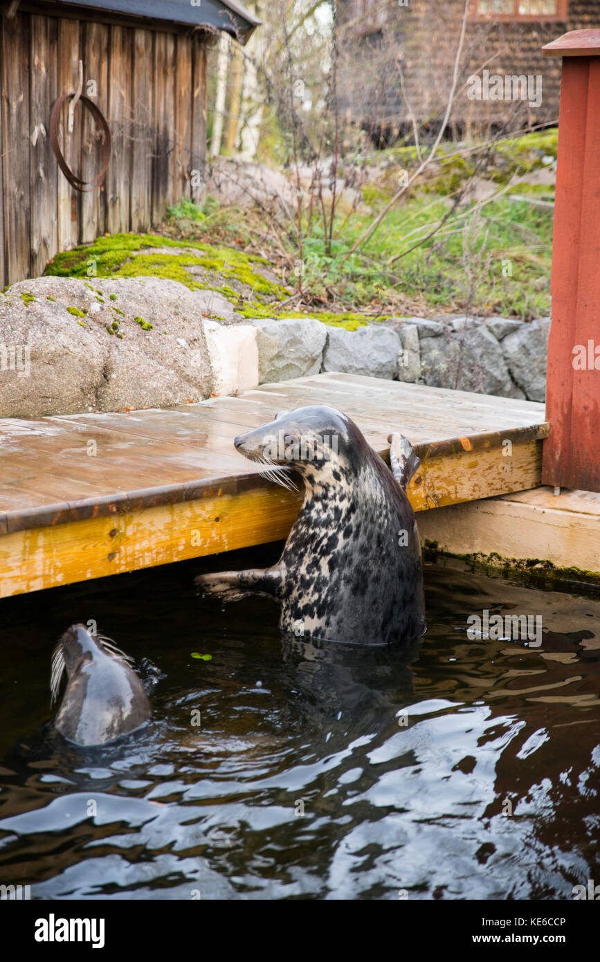 Skansen open air museum, Stockholm, Sweden Stock Photo - Alamy