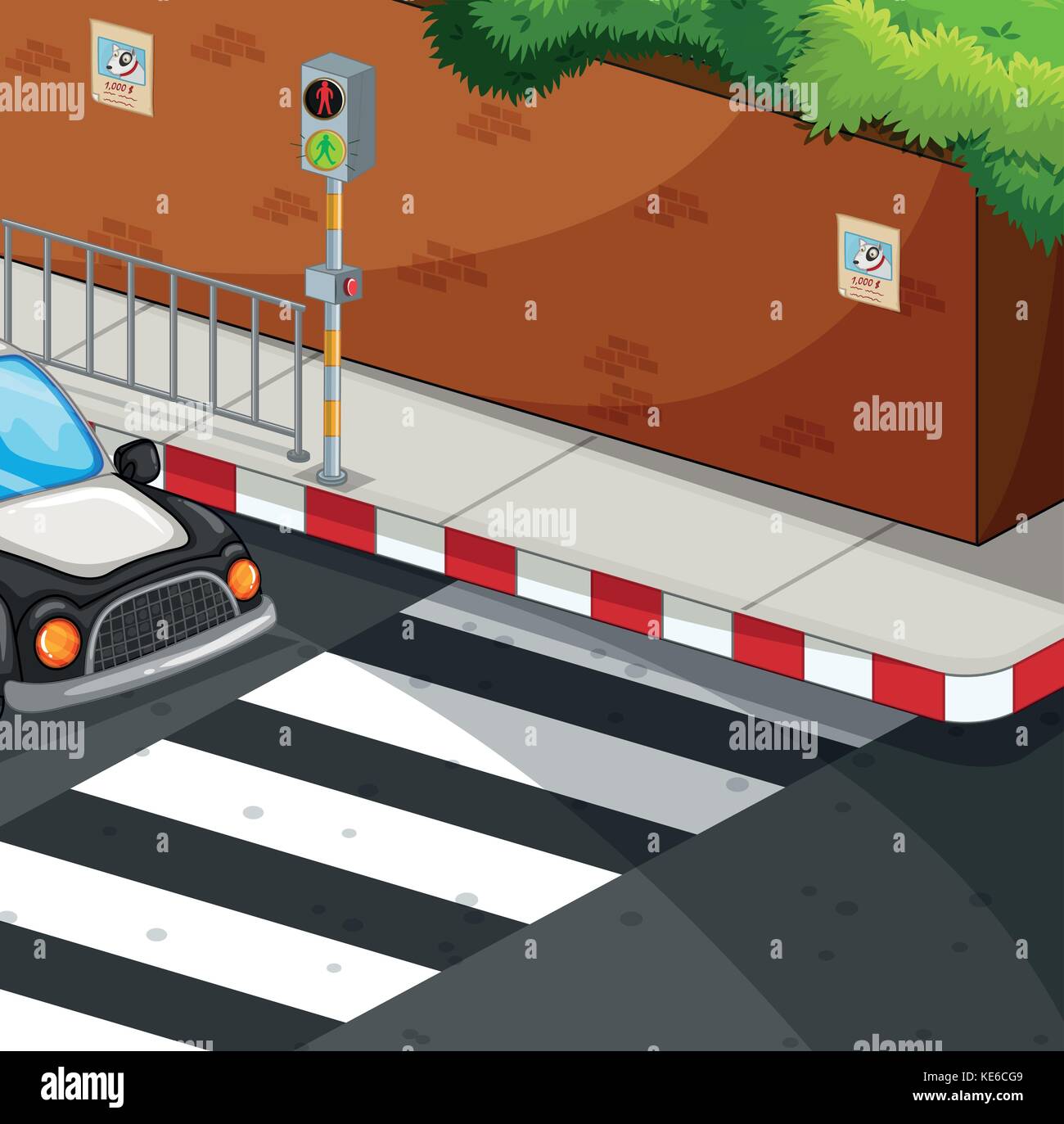 Scene with zebra crossing illustration Stock Vector Image & Art - Alamy