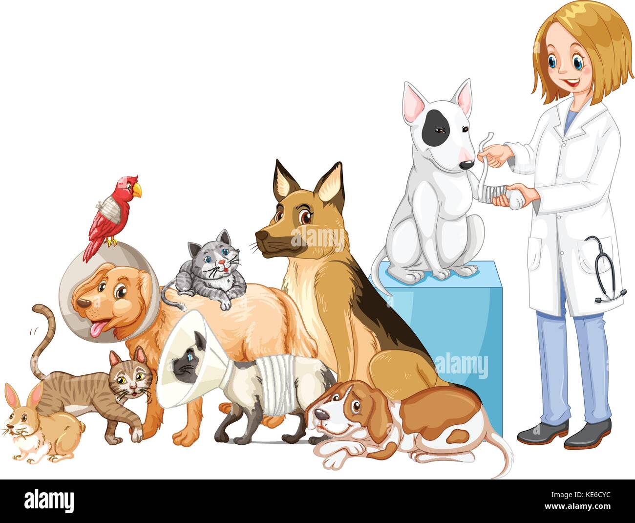 Injured animals Cut Out Stock Images & Pictures - Alamy