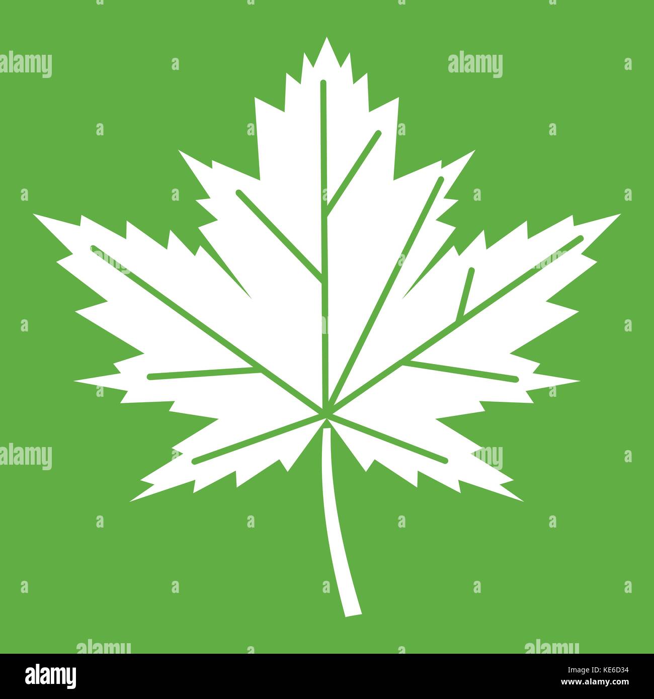Maple leaf icon green Stock Vector Image & Art - Alamy