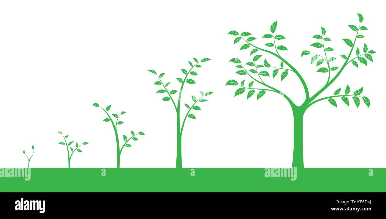 Vector illustration of a set of green icons - plant or five growth ...