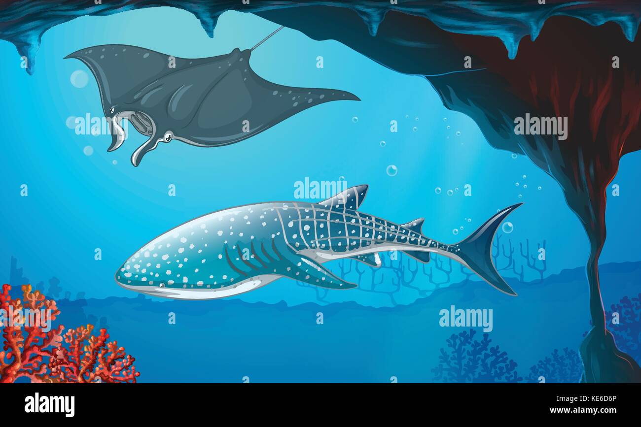 Shark and stingray swimming underwater illustration Stock Vector Image ...