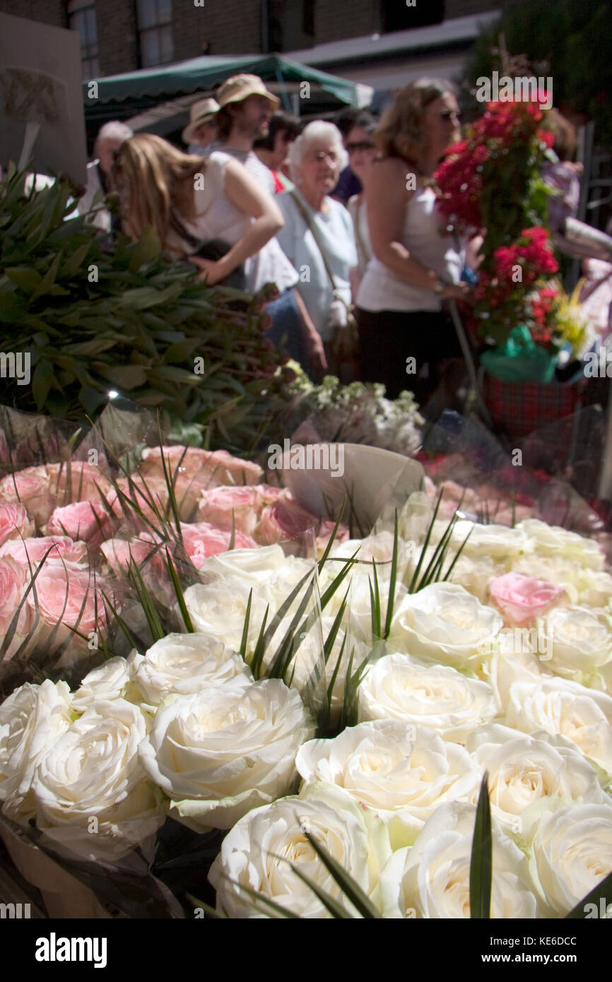 Camden plant hi-res stock photography and images - Alamy