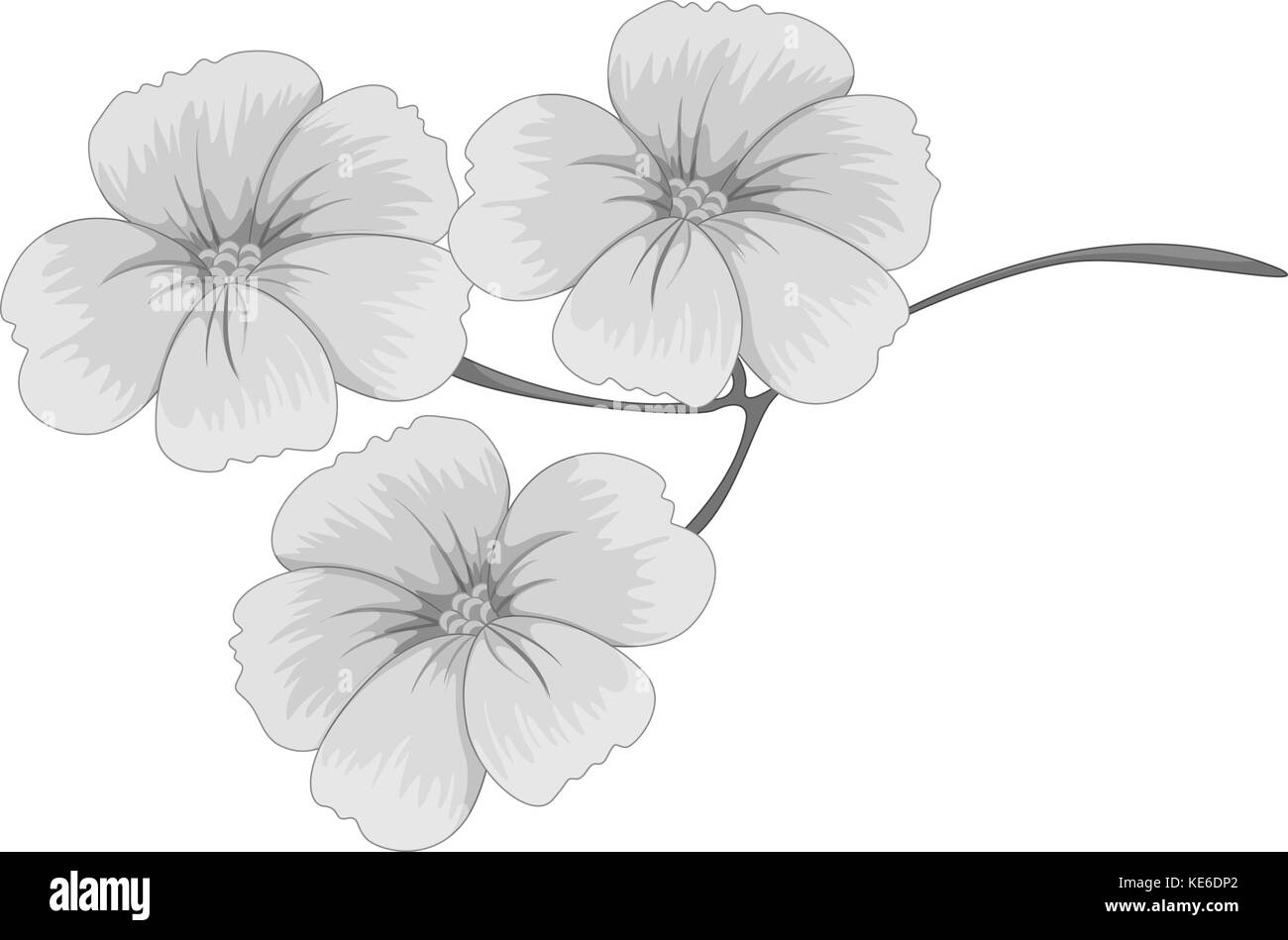 Single flower picture Stock Vector Images - Alamy