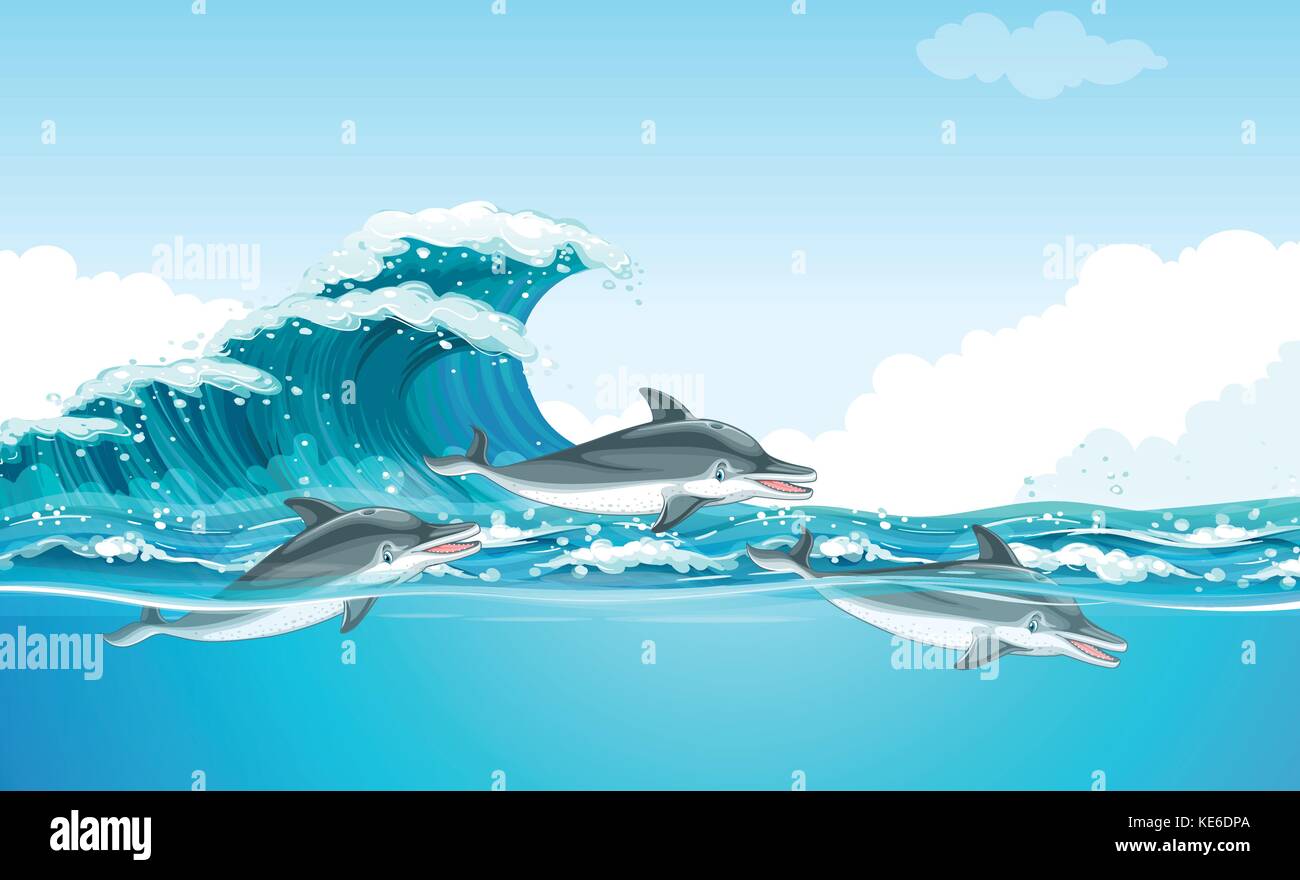 Dolphin pod Stock Vector Images - Alamy