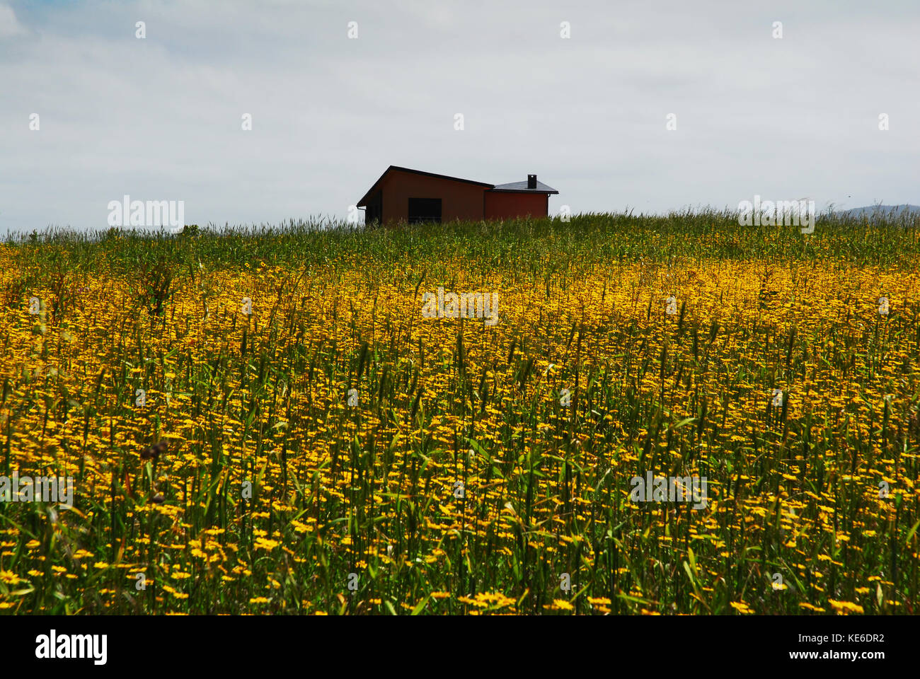 Spain, Galicia, Lugo Province, Landscape near Ribadeo Stock Photo - Alamy