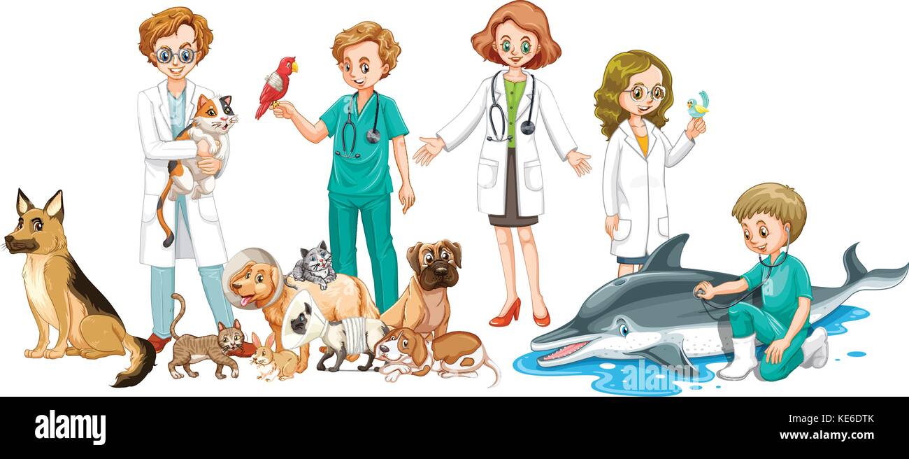 Vets and many animals illustration Stock Vector Image & Art - Alamy