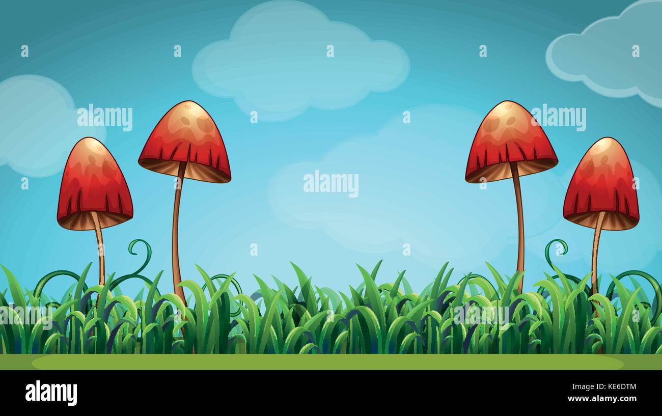Scene with mushrooms in the field illustration Stock Vector Image & Art ...