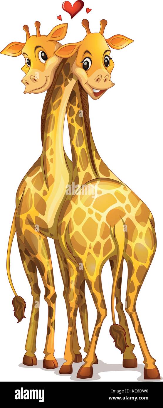 Two giraffes in love Stock Vector Images - Alamy