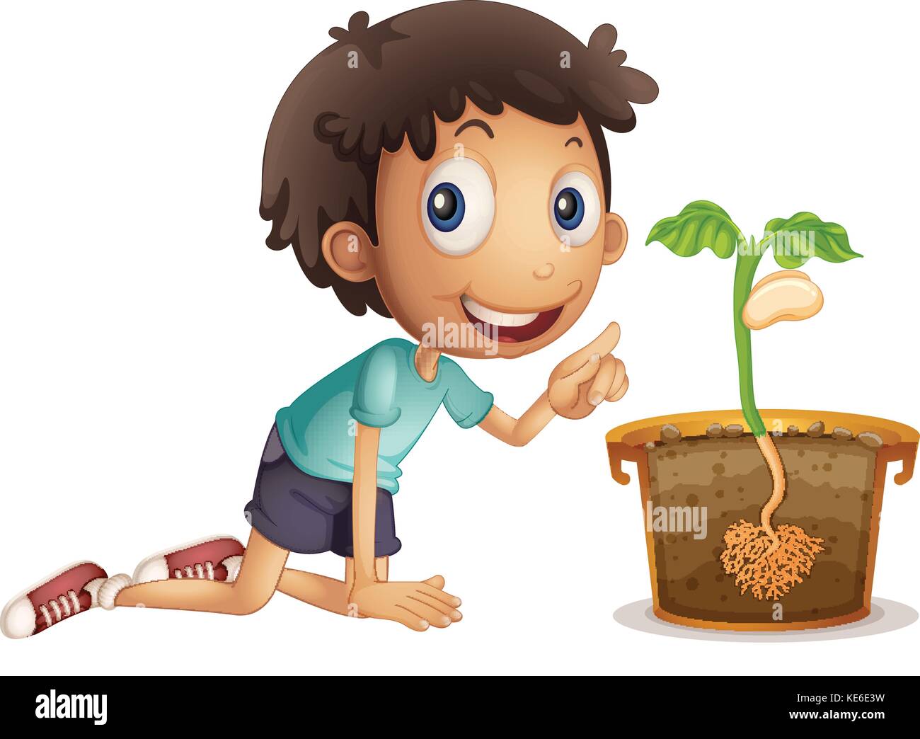 Boy planting seed in the pot illustration Stock Vector Image & Art - Alamy