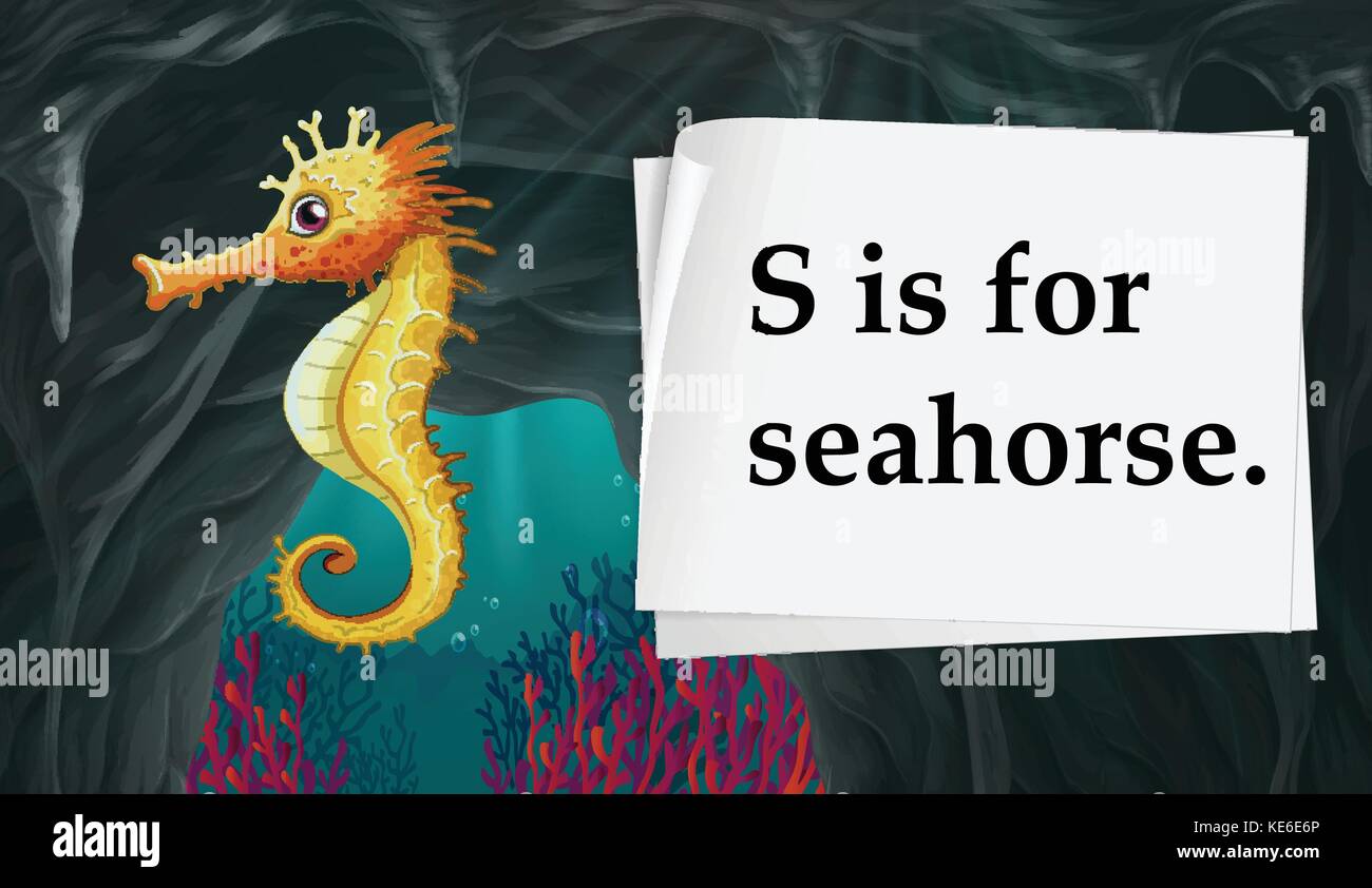 Letter S is for seahorse illustration Stock Vector Image & Art - Alamy