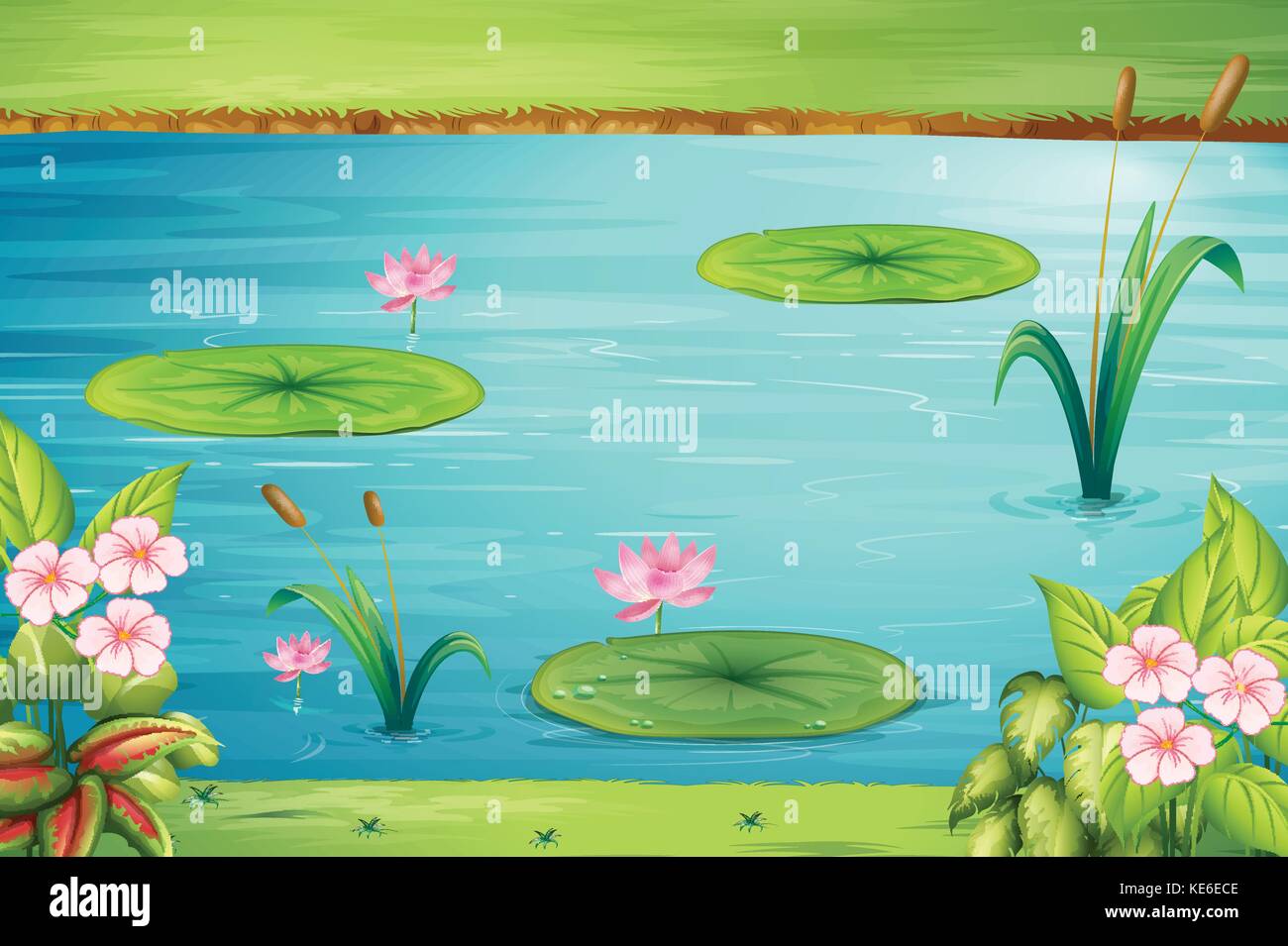 Water lotus plants Stock Vector Images - Alamy