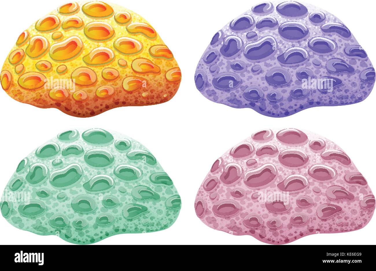 Sponge in four different colors illustration Stock Vector Image & Art ...