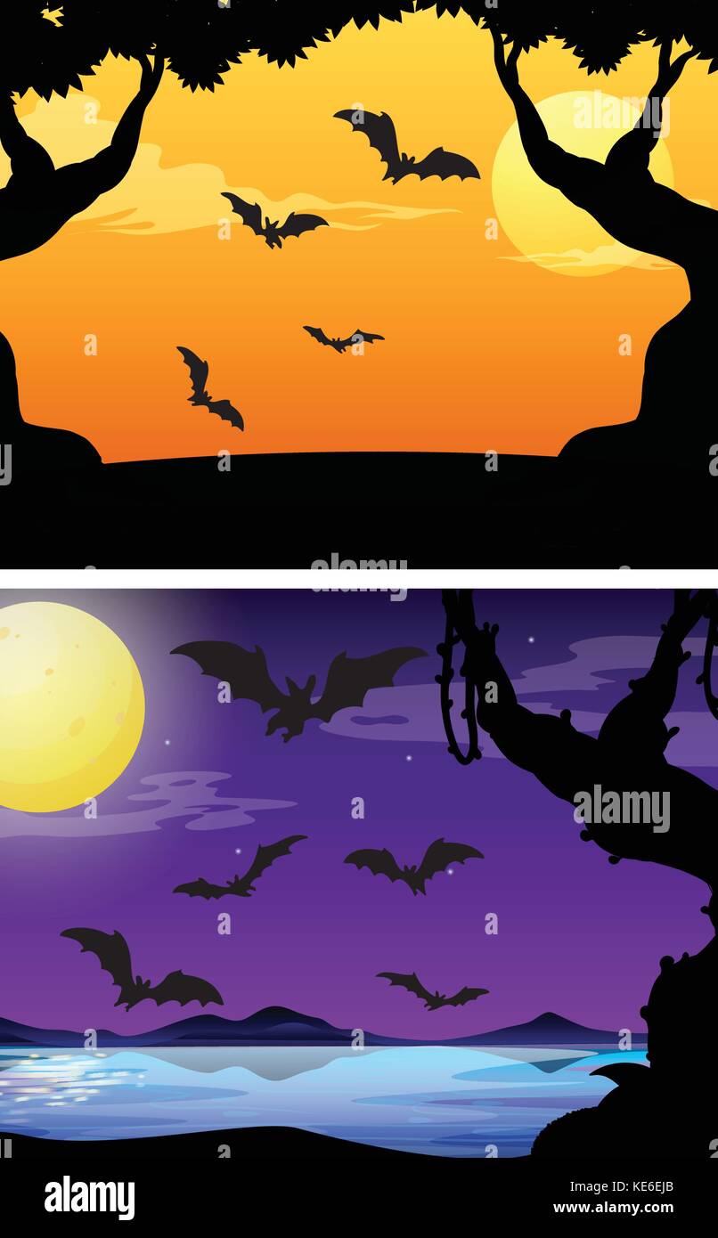 Background scenes with bats flying at twilight illustration Stock ...