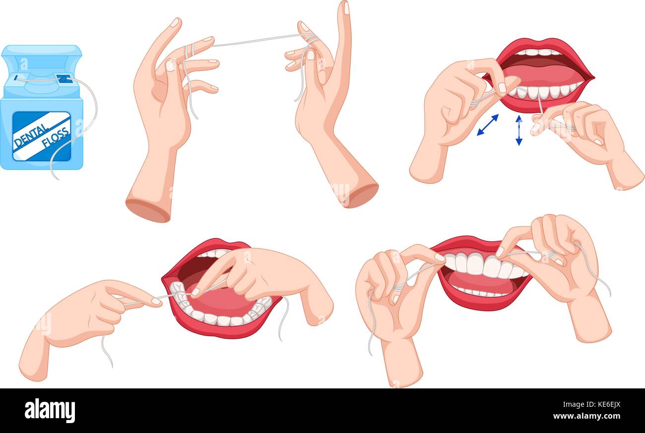 Dental floss dental flossing Stock Vector Images - Alamy